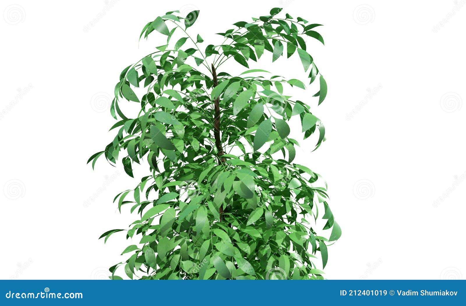 Tree Isolated. Image Useful for Banners and Posters or Photo ...