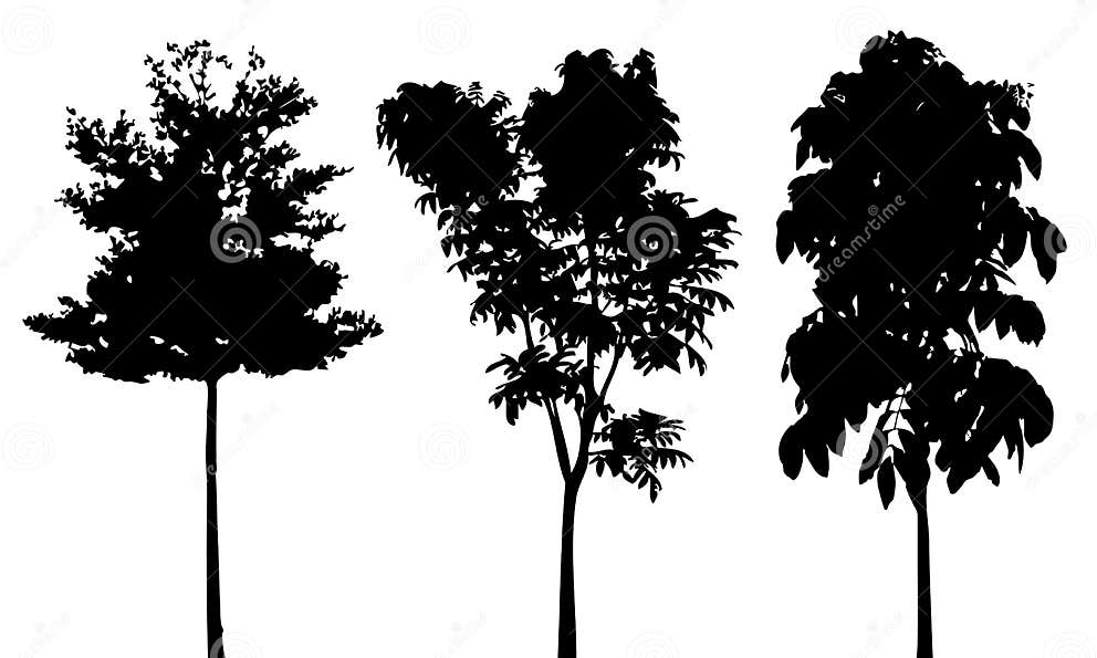 Tree isolated vector stock vector. Illustration of shape - 63794508