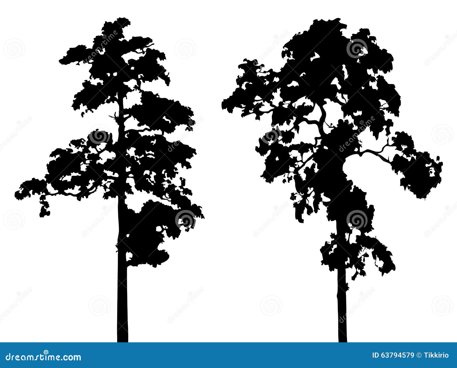 Tree isolated vector stock vector. Illustration of growth - 63794579