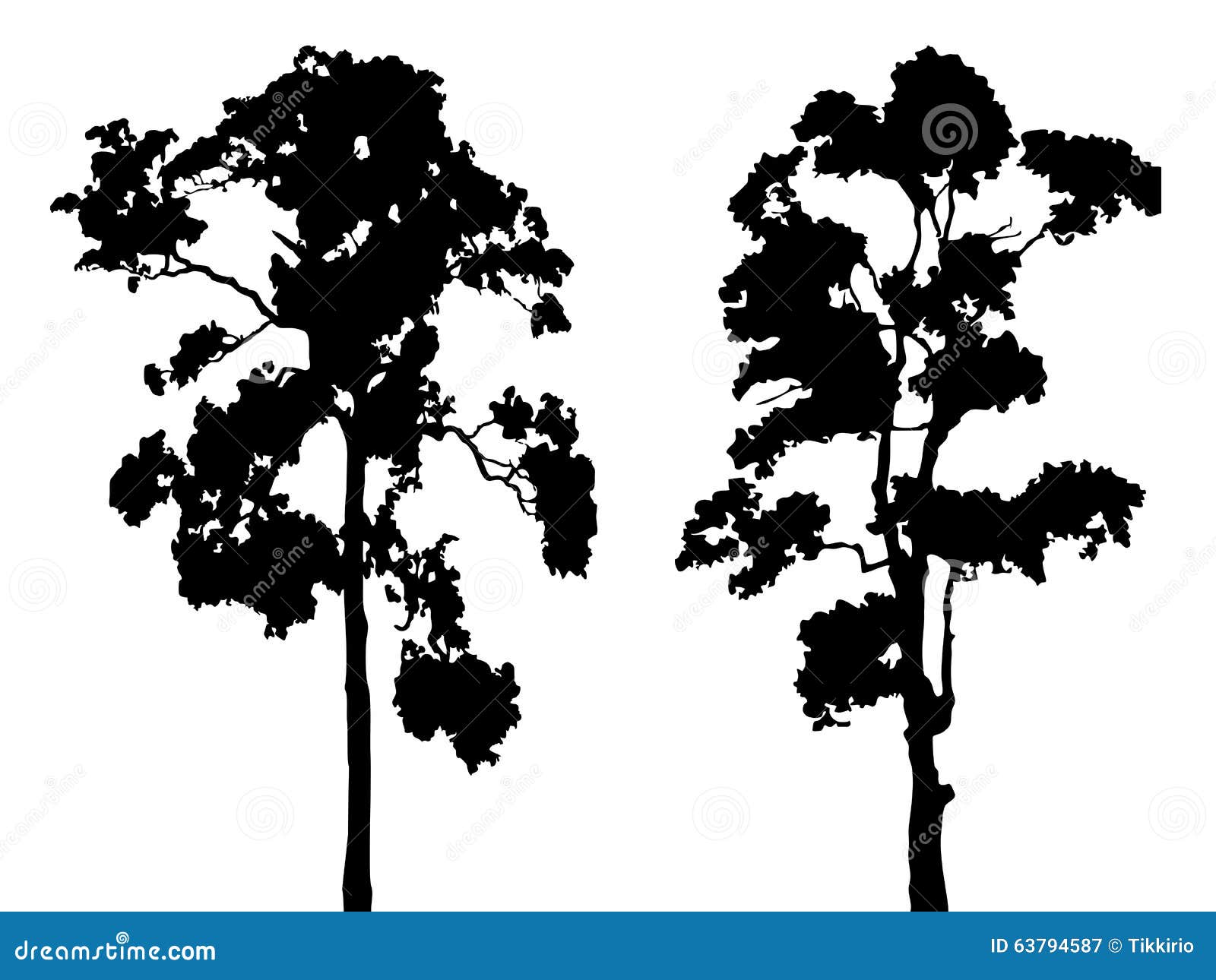 Tree isolated vector stock vector. Illustration of graphic - 63794587
