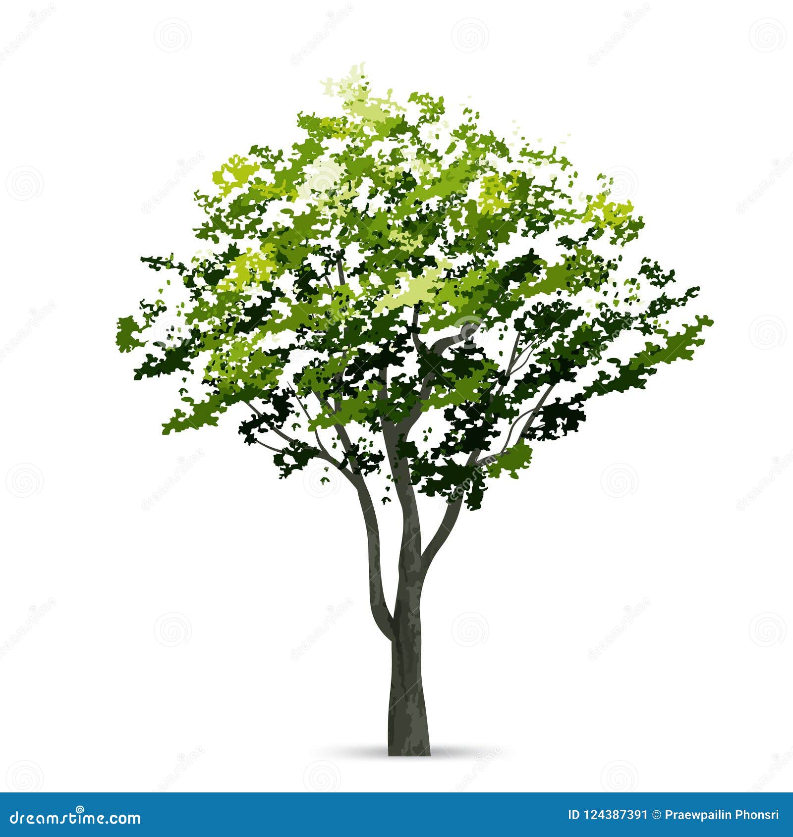 Tree Isolated on White Background with Soft Shadow. Vector. Stock ...