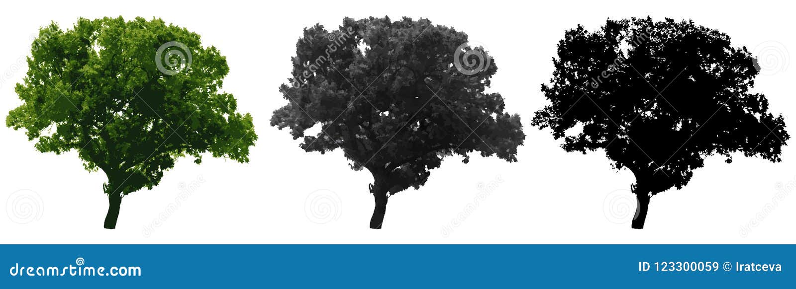 Tree Isolated on White Background Stock Vector - Illustration of ...