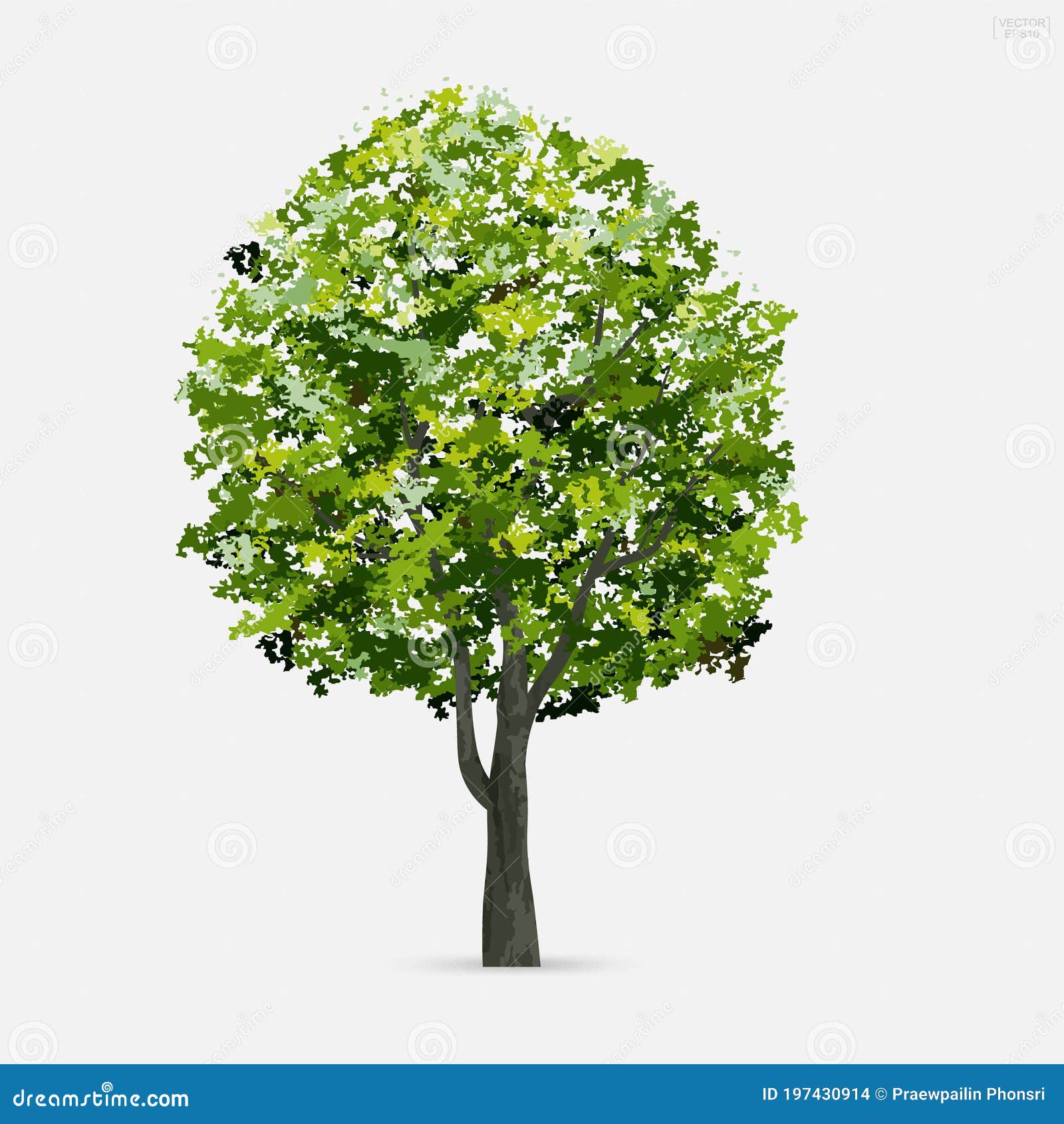 Tree Isolated on White Background. Use for Landscape Design ...