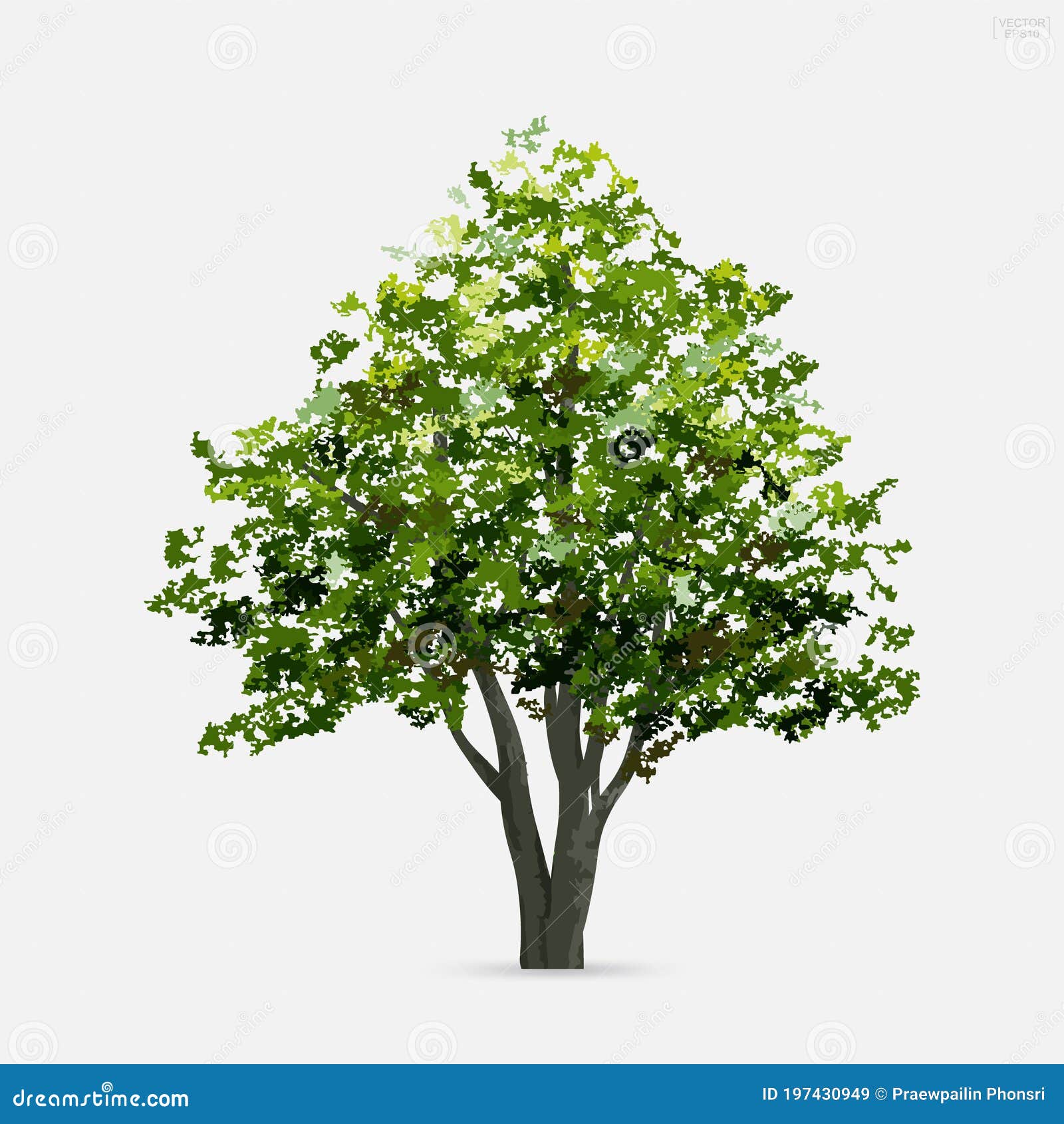 Tree Isolated on White Background. Use for Landscape Design ...