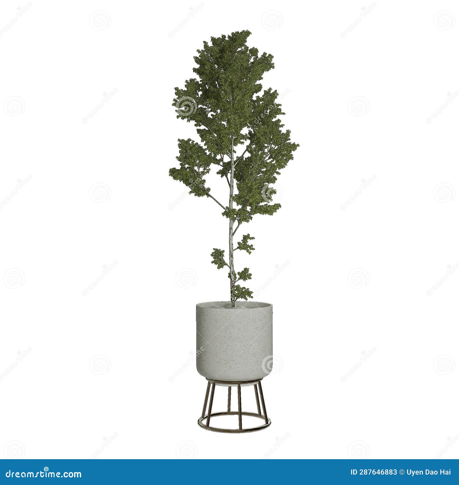 Enlivening Greenery: Captivating Potted Plants for Refreshing Indoor ...