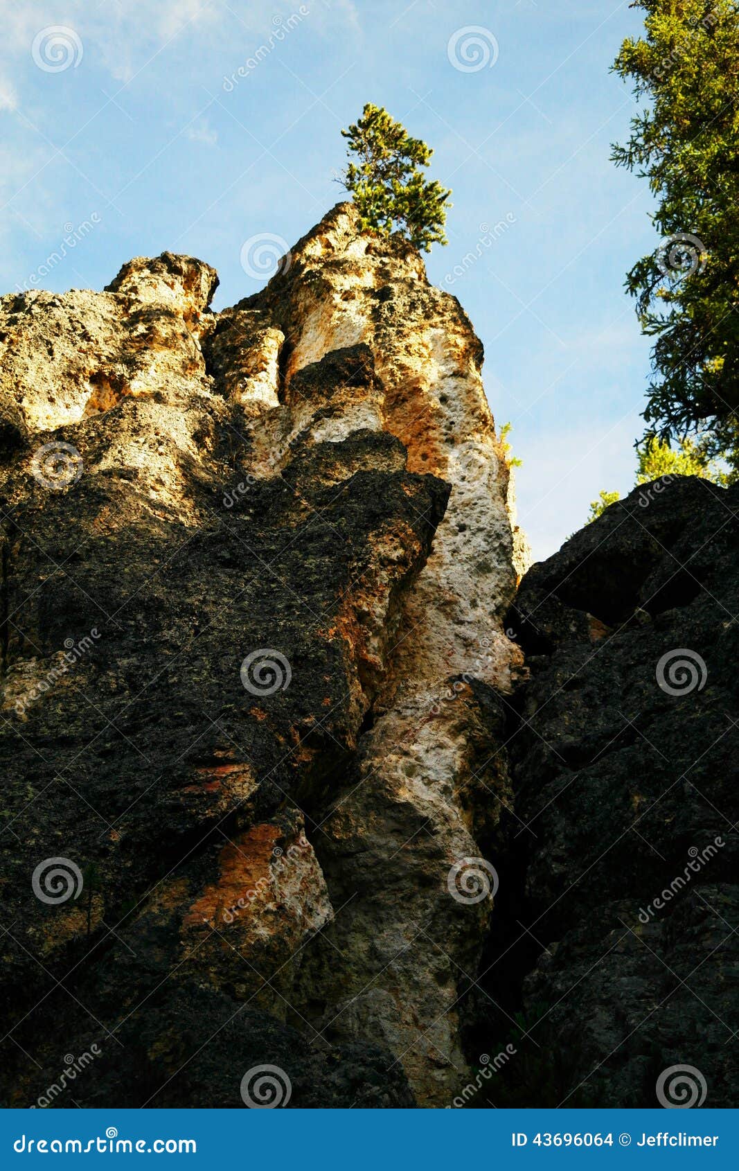Tree on a jagged cliff stock photo. Image of scenic, boulders - 43696064