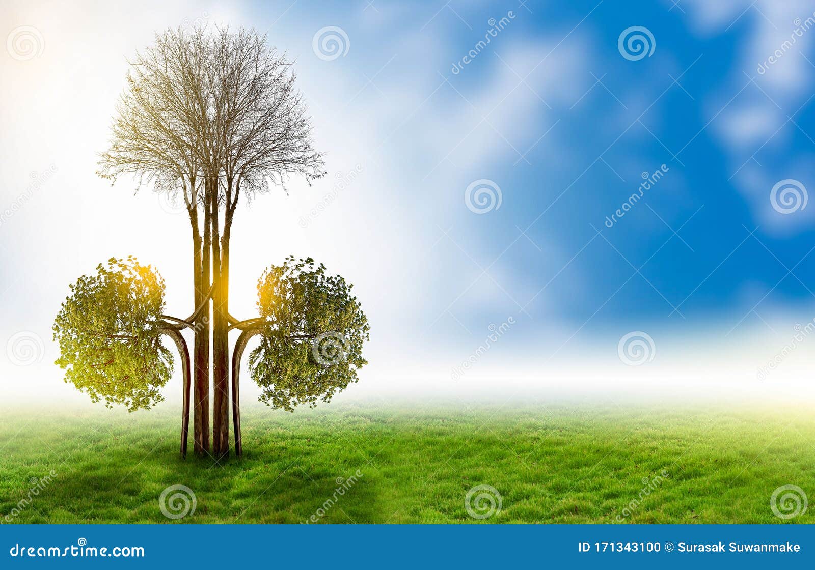 The Tree Kidney is a 3D Illustration of the Medical Environmental ...
