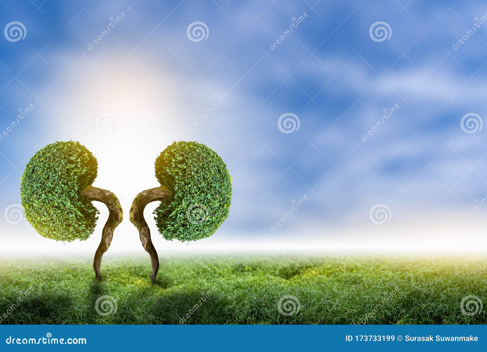 The Tree Kidney is a 3D Illustration of the Medical Environmental ...