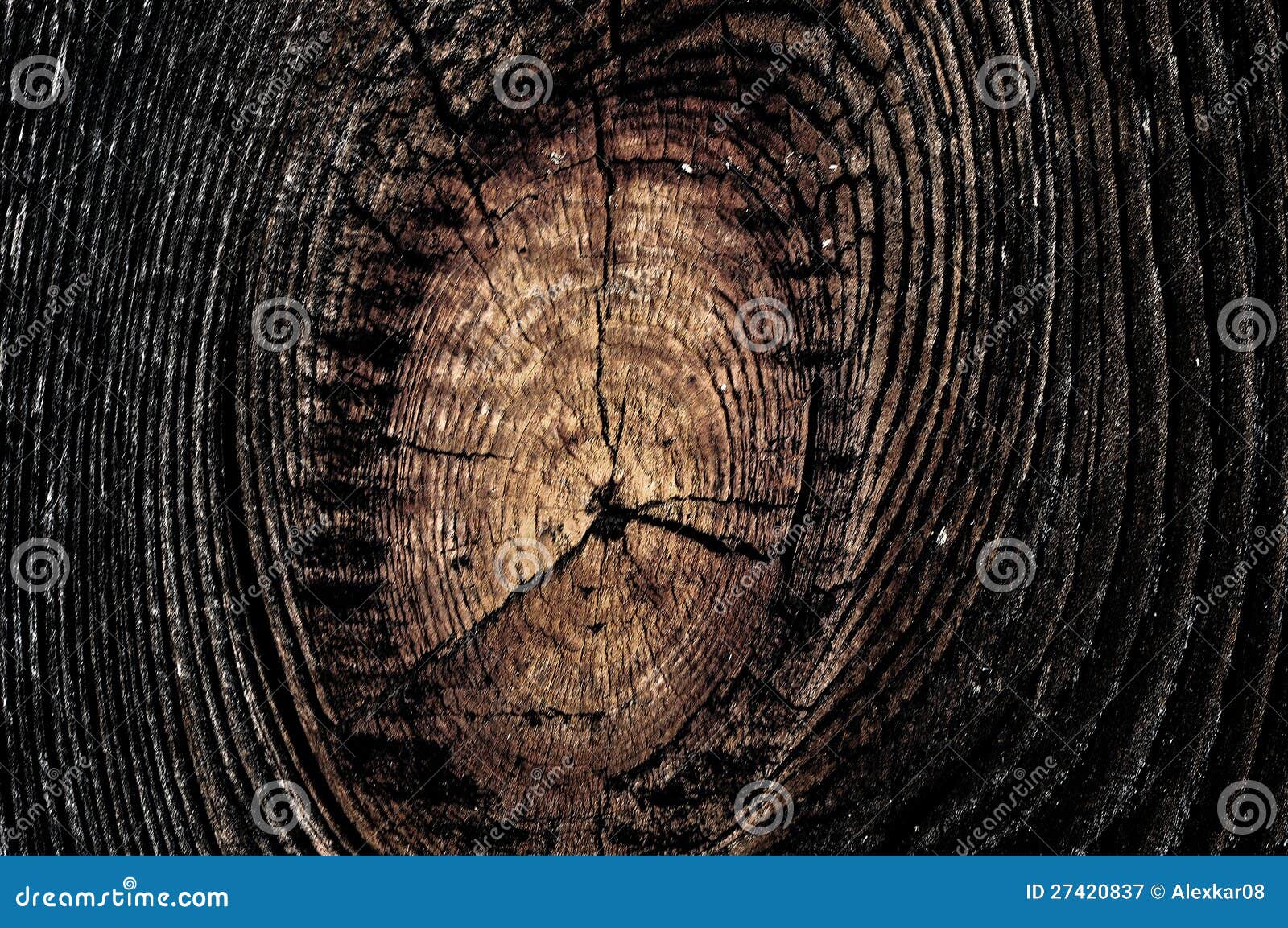 Tree knot stock image. Image of tree, knot, backgrounds - 27420837