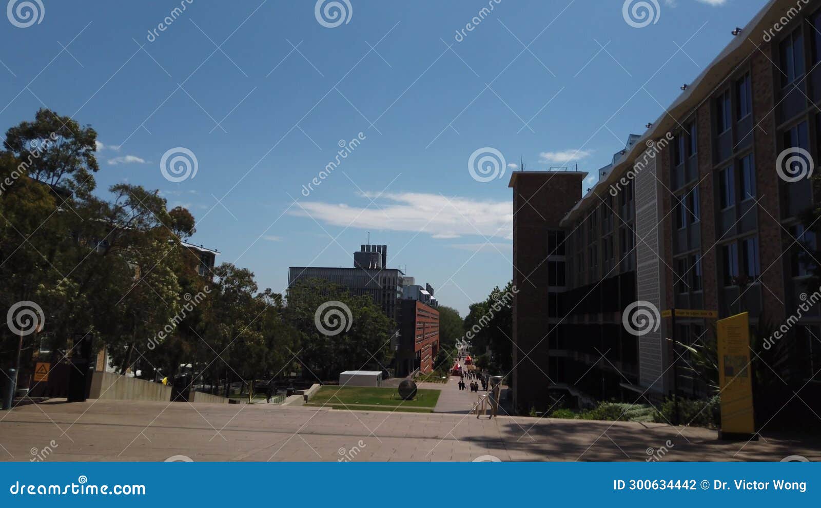 Tree of Knowledge Architectural Structure of the John Niland Scientia ...