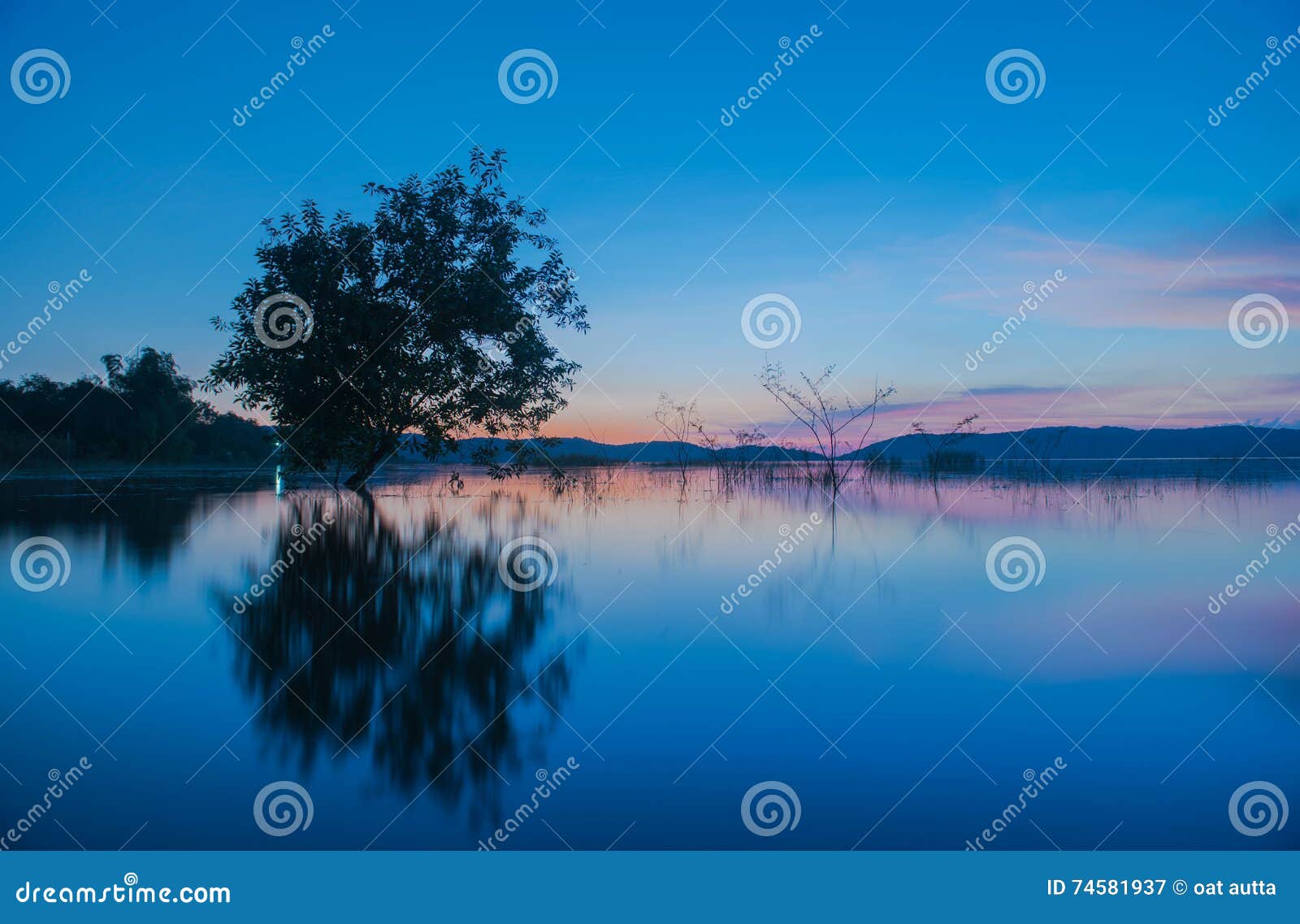 Tree in the Lake Light Evening Twilight, Colorful Landscape Stock Image ...