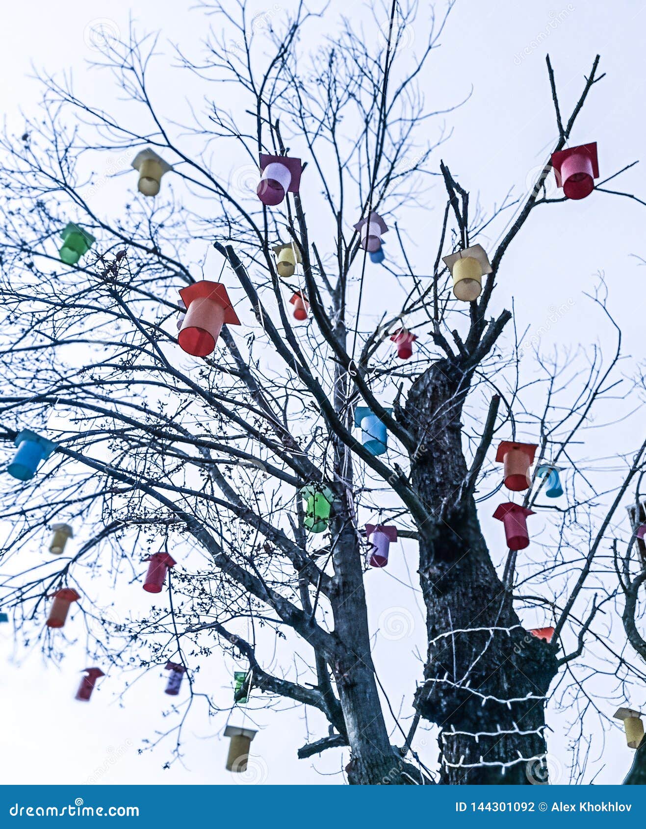 Tree with lamps stock photo. Image of lamps, plant, tree - 144301092