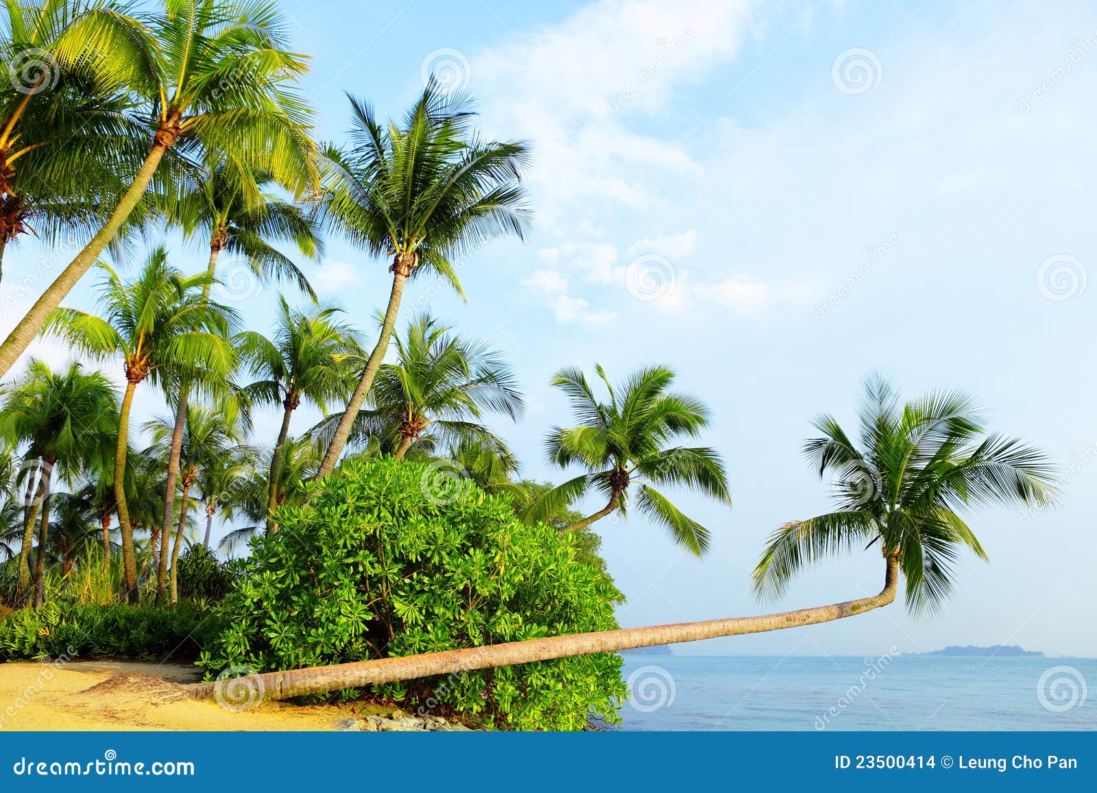 Tree and Landscape in Sentosa Stock Photo - Image of breeze, scene ...