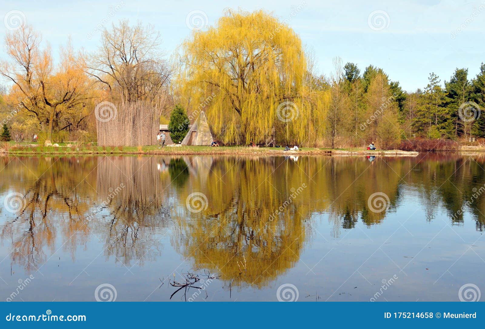 Tree Landscape in Spring Season Stock Photo - Image of canada, color ...