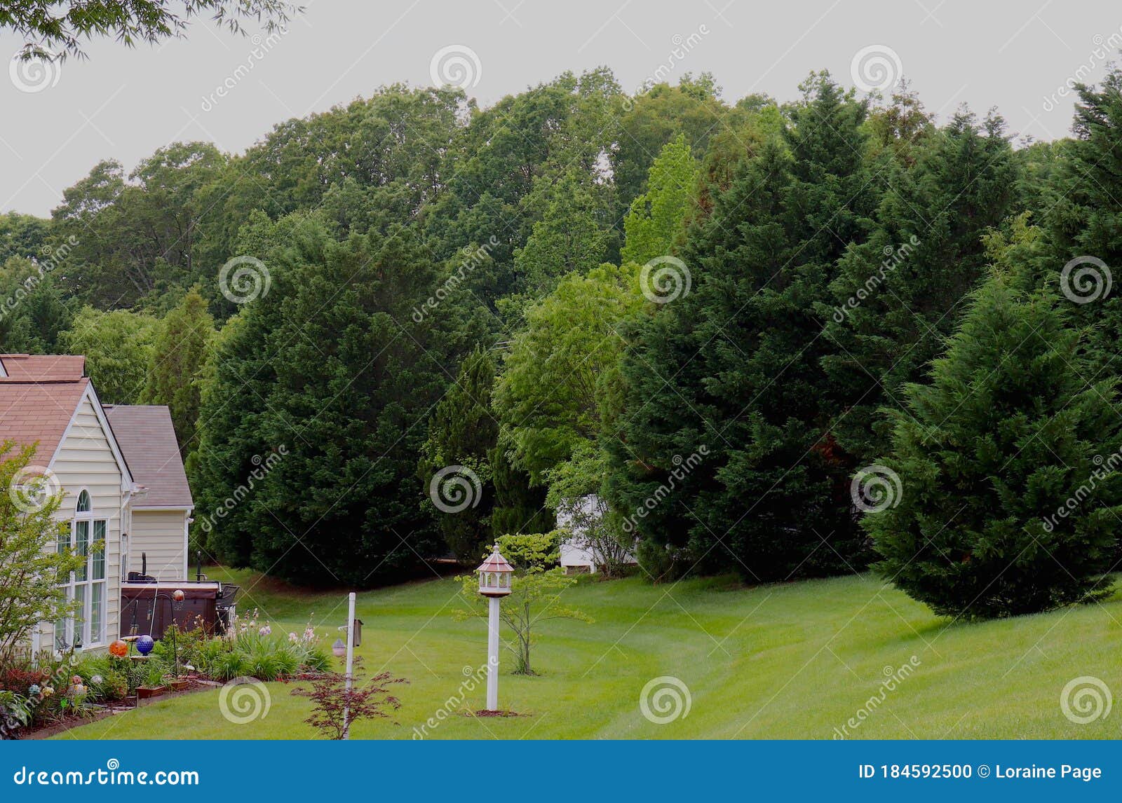 Tree Landscaping Design stock photo. Image of design - 184592500