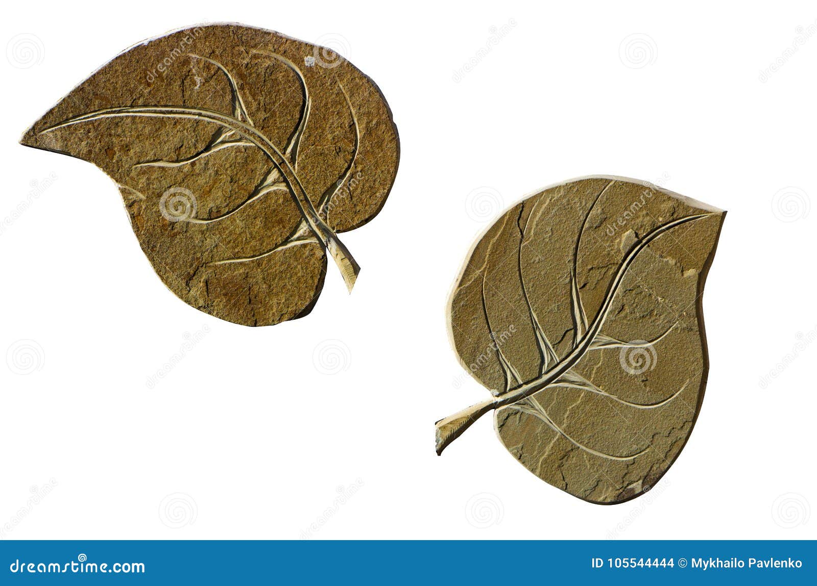 Tree Leaf Cut Out of Stone Isolated on White Stock Photo - Image of ...