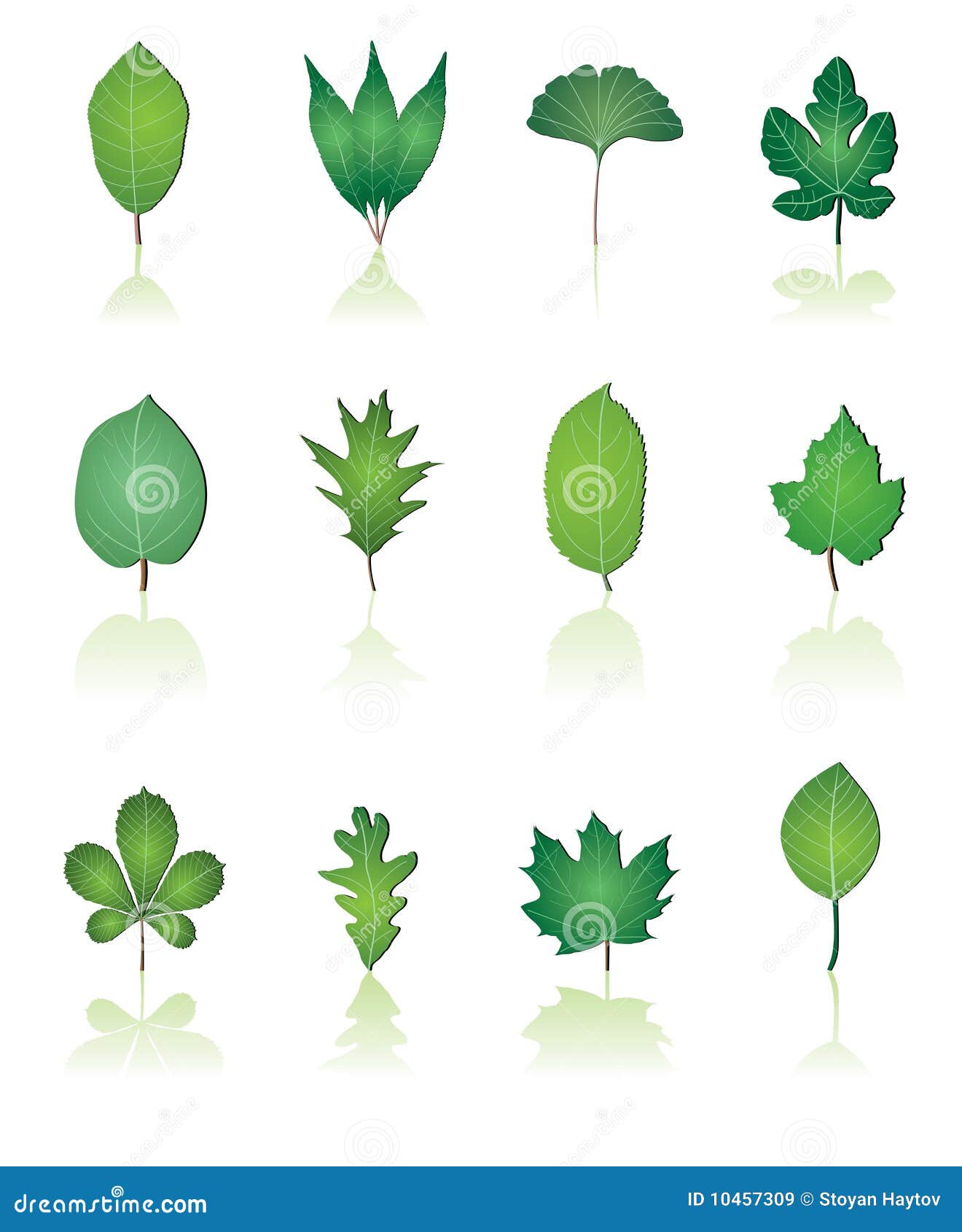 Tree leaf icon stock vector. Illustration of floral, tree - 10457309