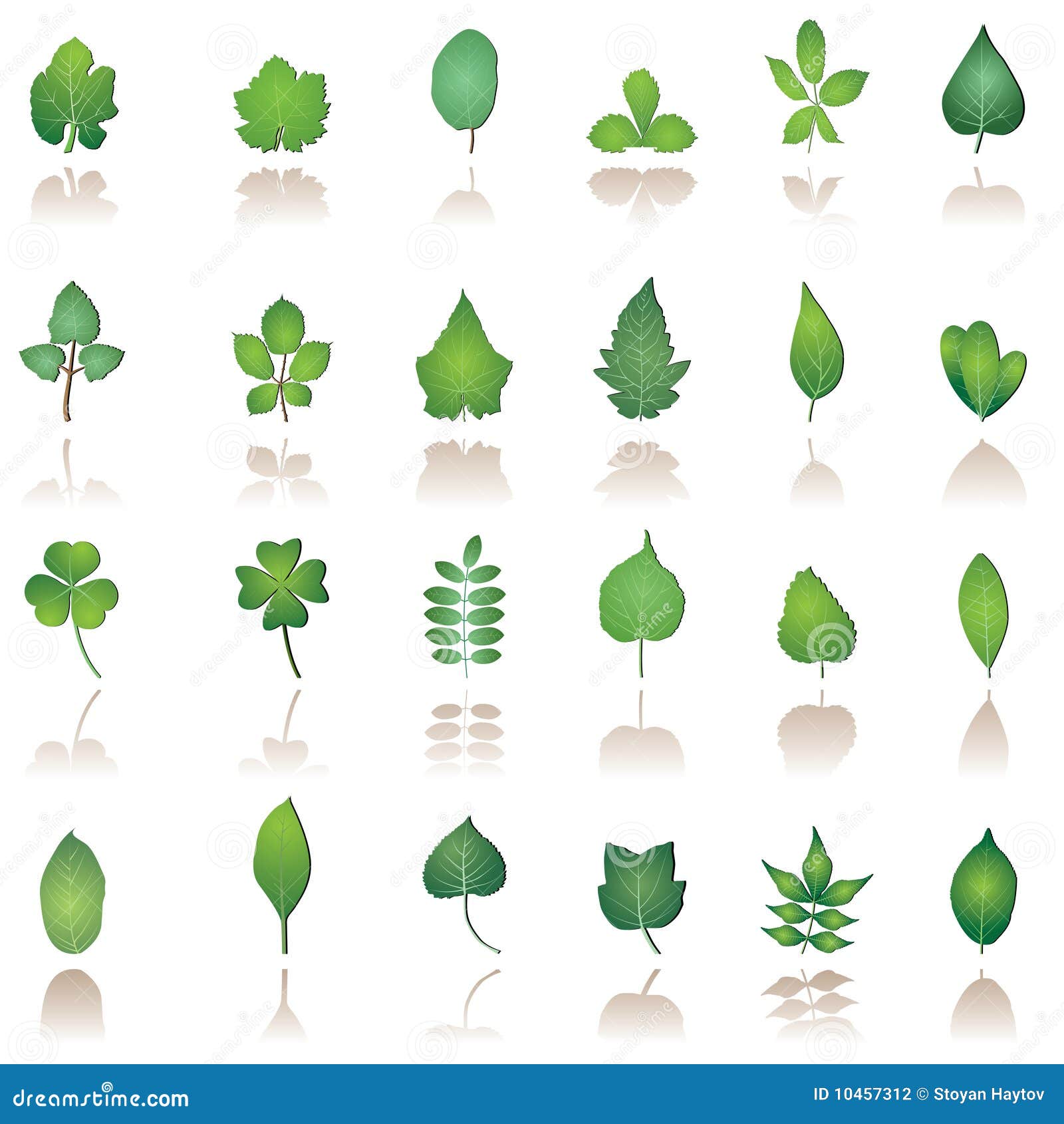 Tree leaf icon stock vector. Illustration of raspberry - 10457312