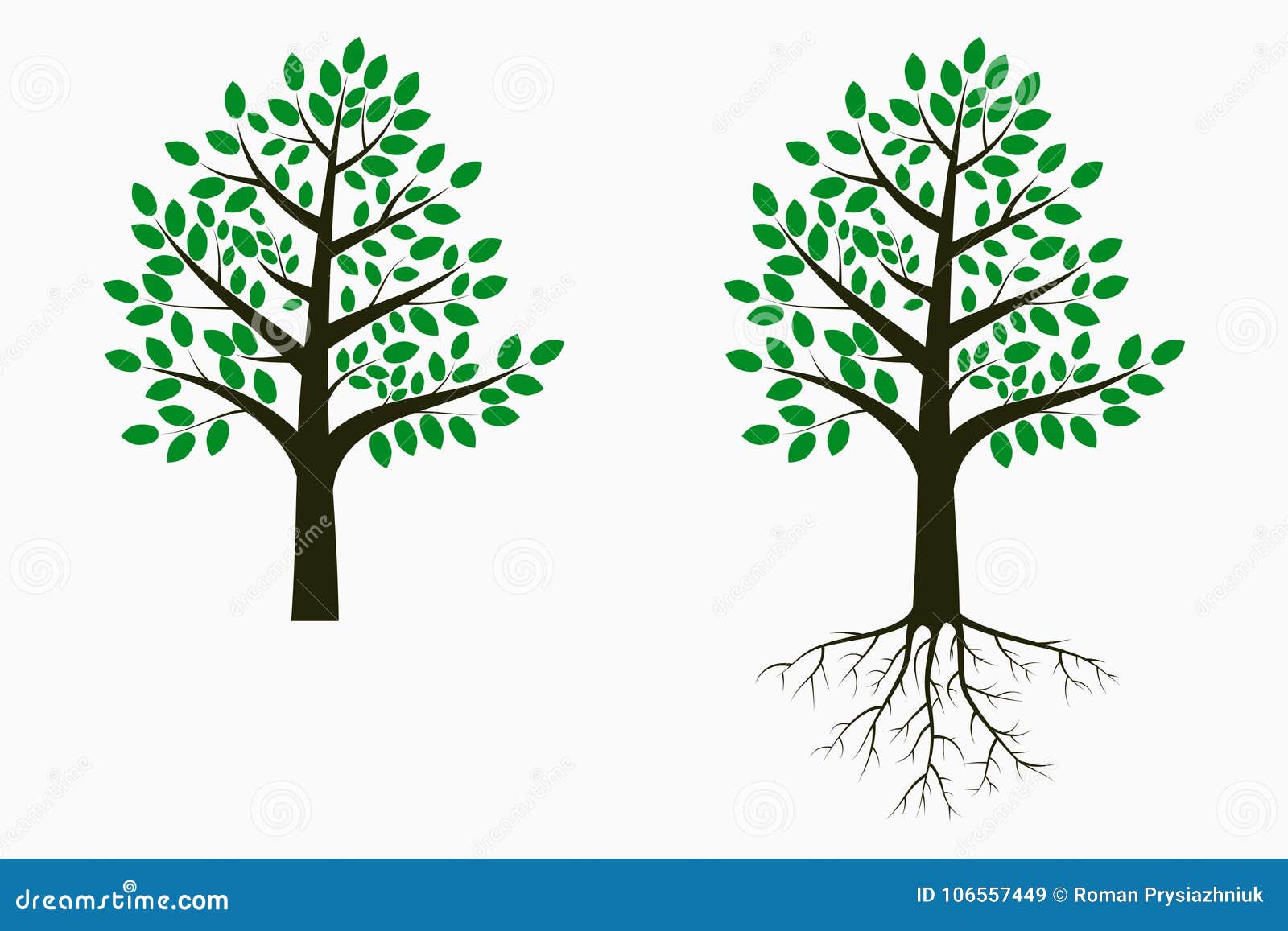 Tree with Leaf and Root. Set of Trees. Vector. Stock Vector ...