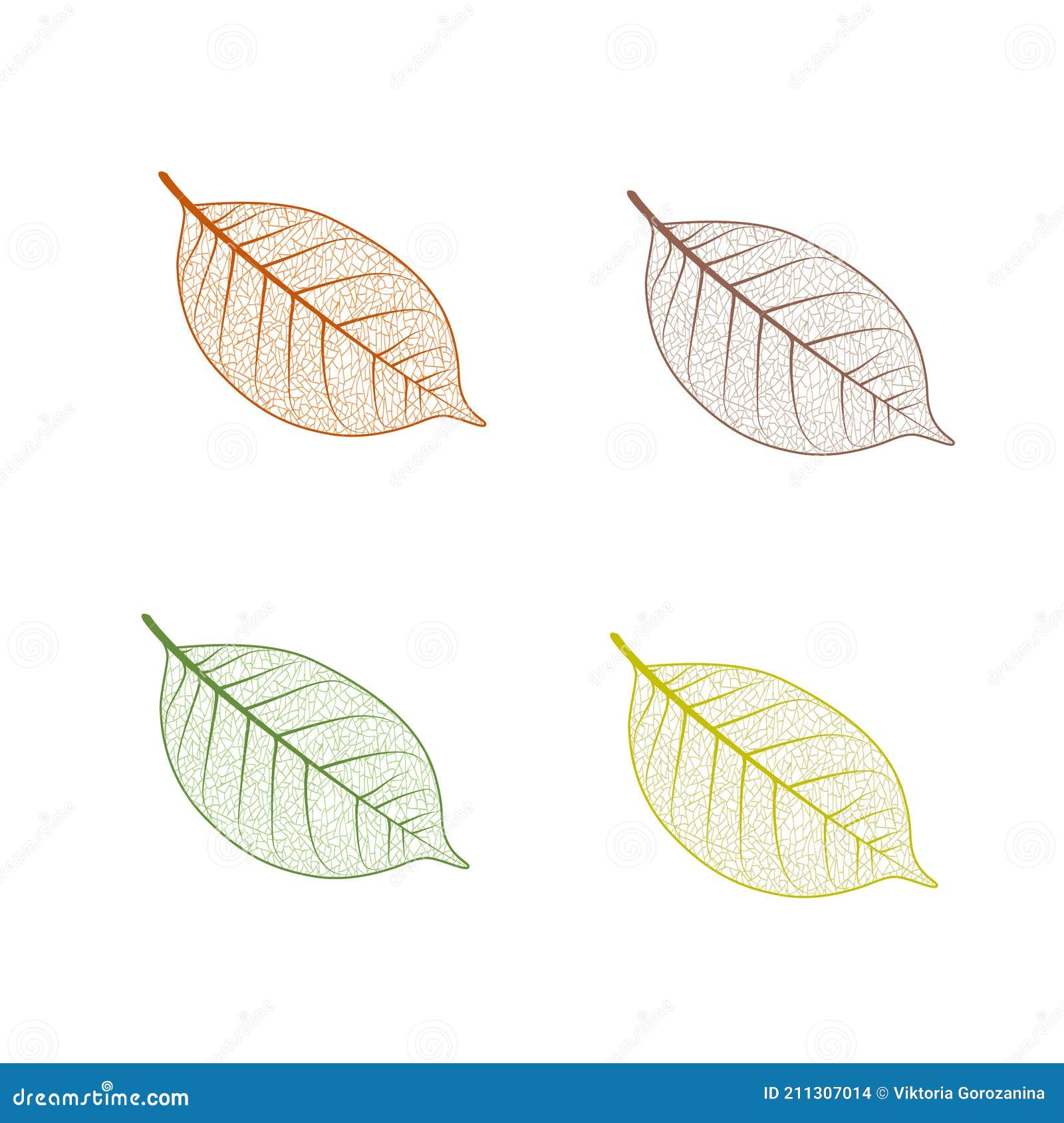 Tree Leaf Set. Autumn Leaves Isolated Vector Illustration on White ...