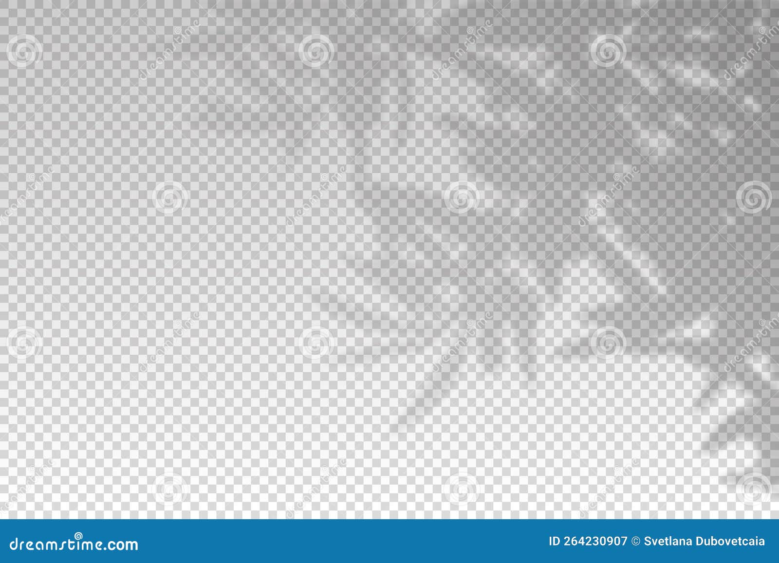 Shadow Plant Leaf Overlay Effect. Flowers Leaves. Light From The Window ...