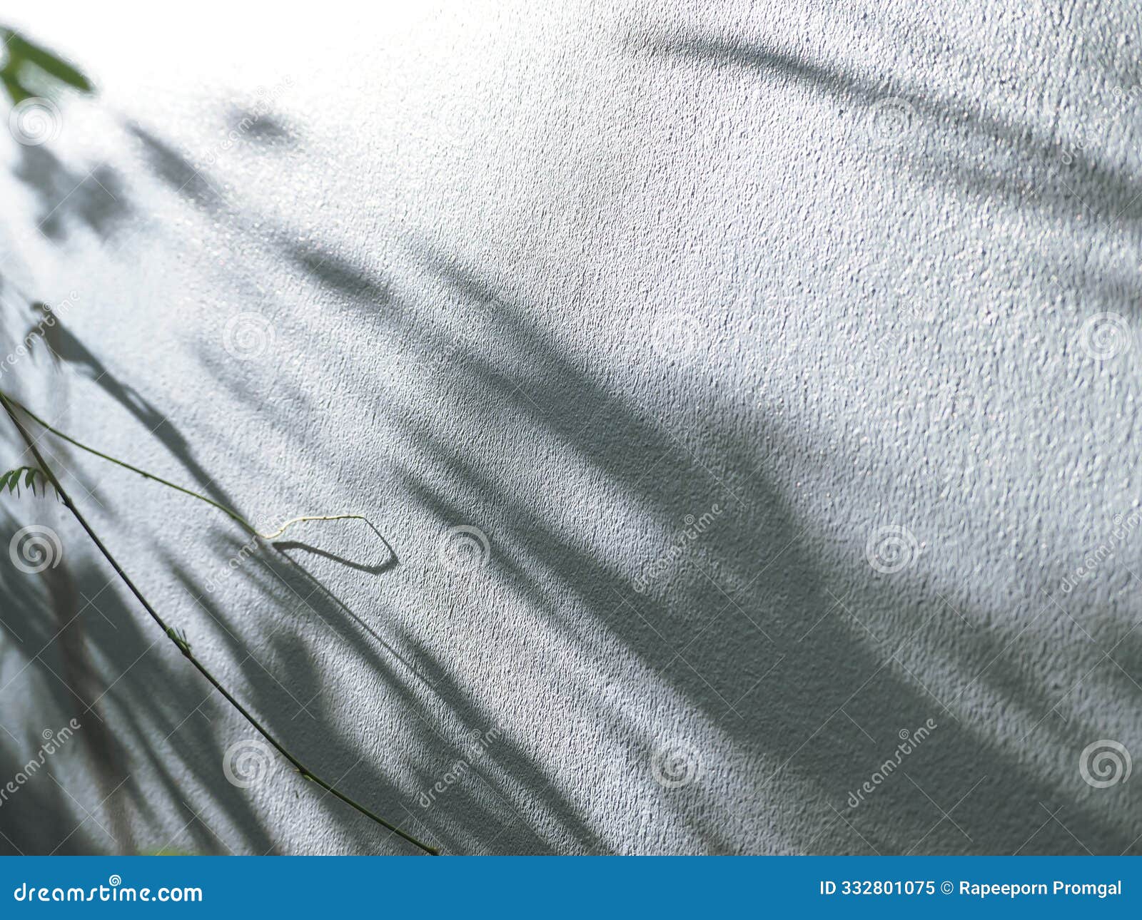 Leaf Shadow on White Wall at Home for Minimalist Background Stock Image ...