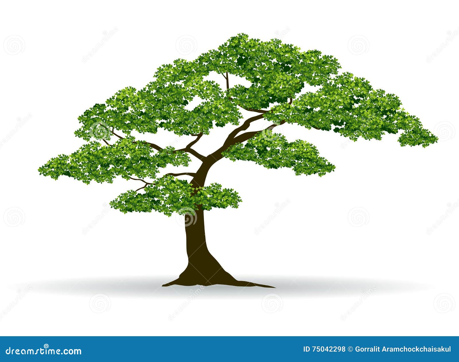 Tree and leaf stock vector. Illustration of leaf, nature - 75042298