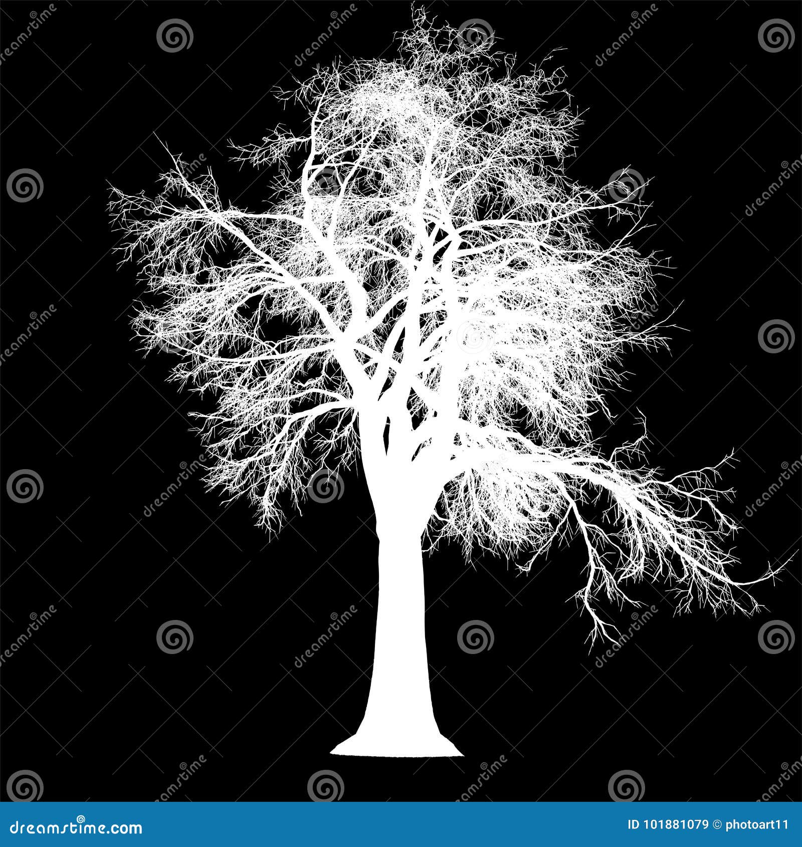Tree Leafless Side View Silhouette Isolated - Green - Vector ...