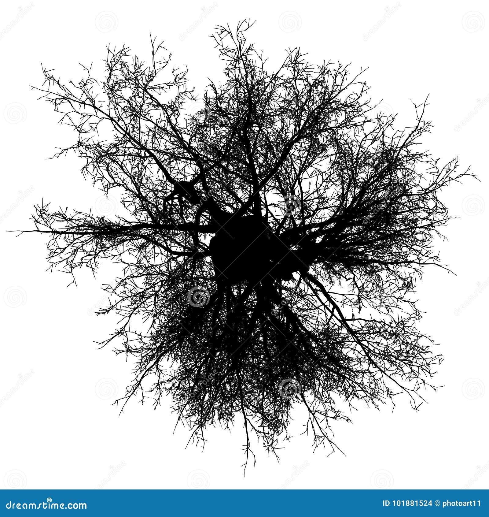 Tree Leafless Top View Silhouette Isolated - Black - Vector Stock ... Tree Leafless Top View Silhouette Isolated - Black - Vector Stock ...