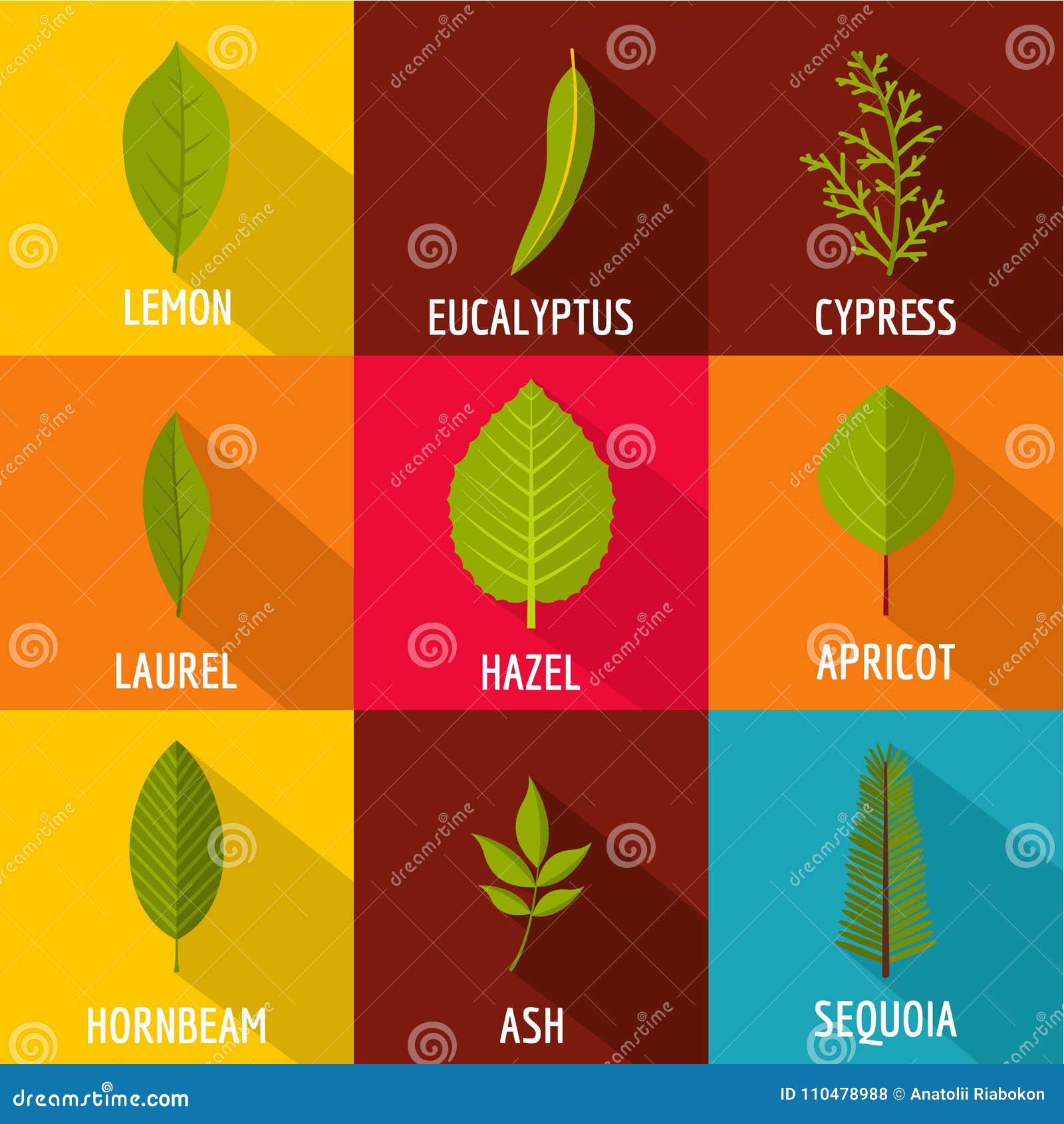 Tree Leave Icons Set, Flat Style Stock Vector - Illustration of jungle ...