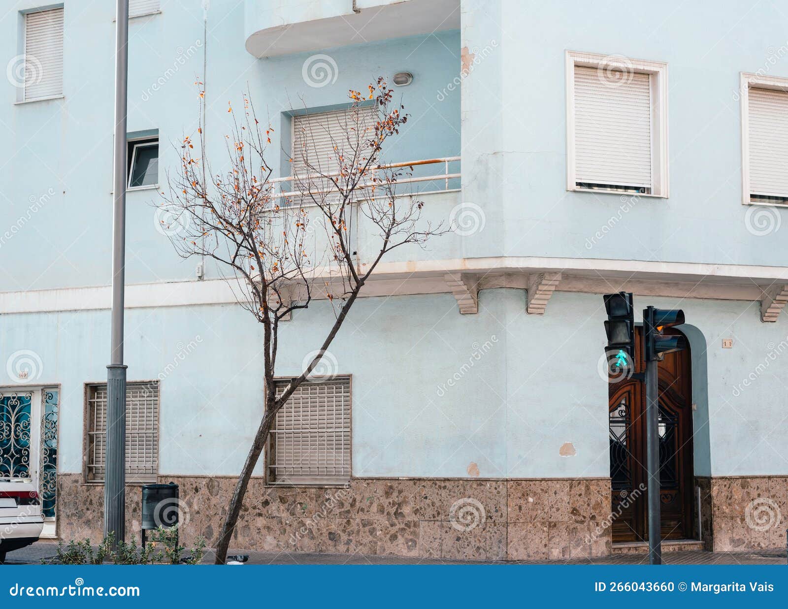 View on a Tree without Leaves on the Background of a Blue Residential ...