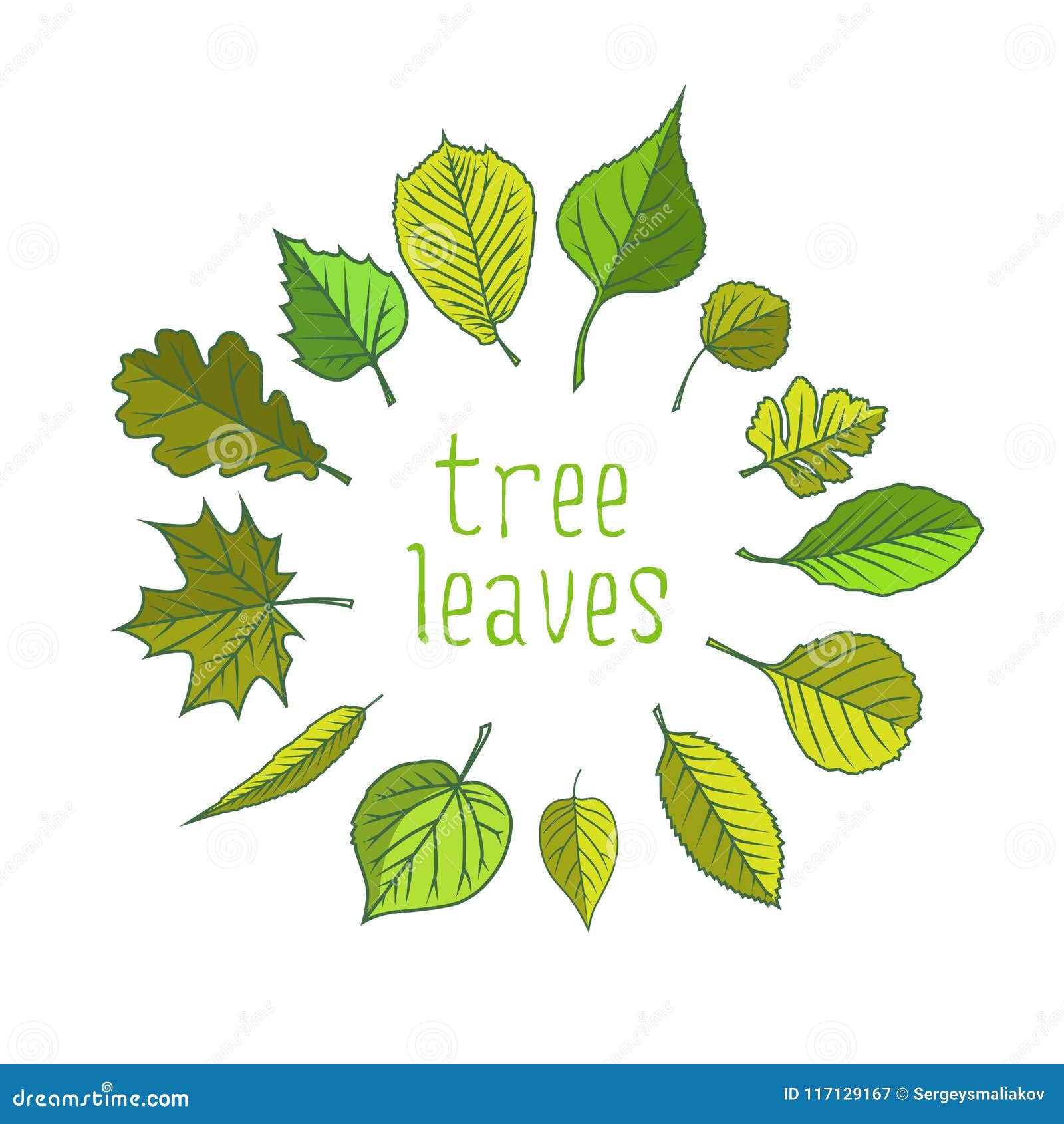 Tree Leaves. Colorful Illustrations Stock Vector - Illustration of ...
