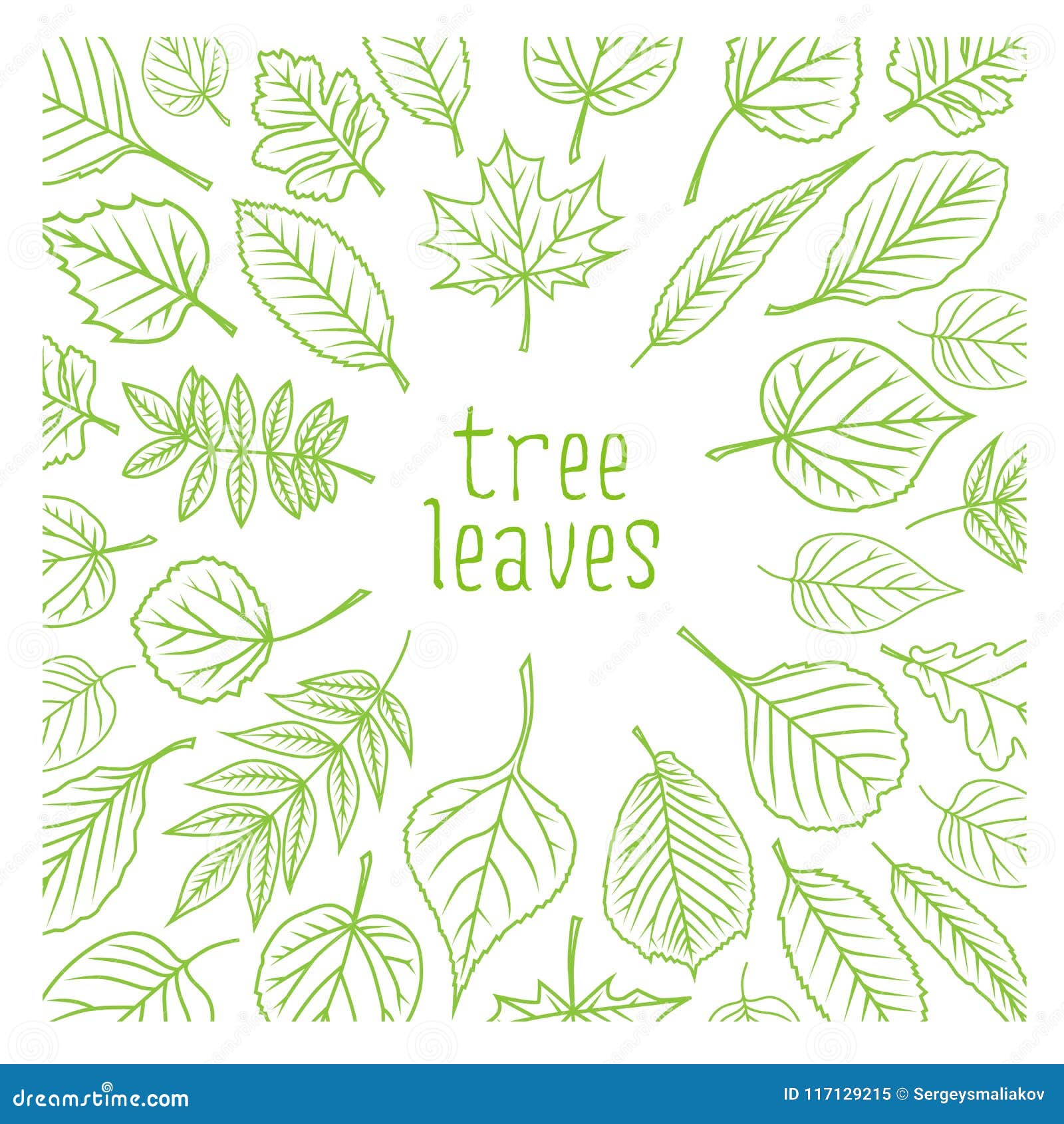 Tree Leaves. Colorful Illustrations Stock Vector - Illustration of ...