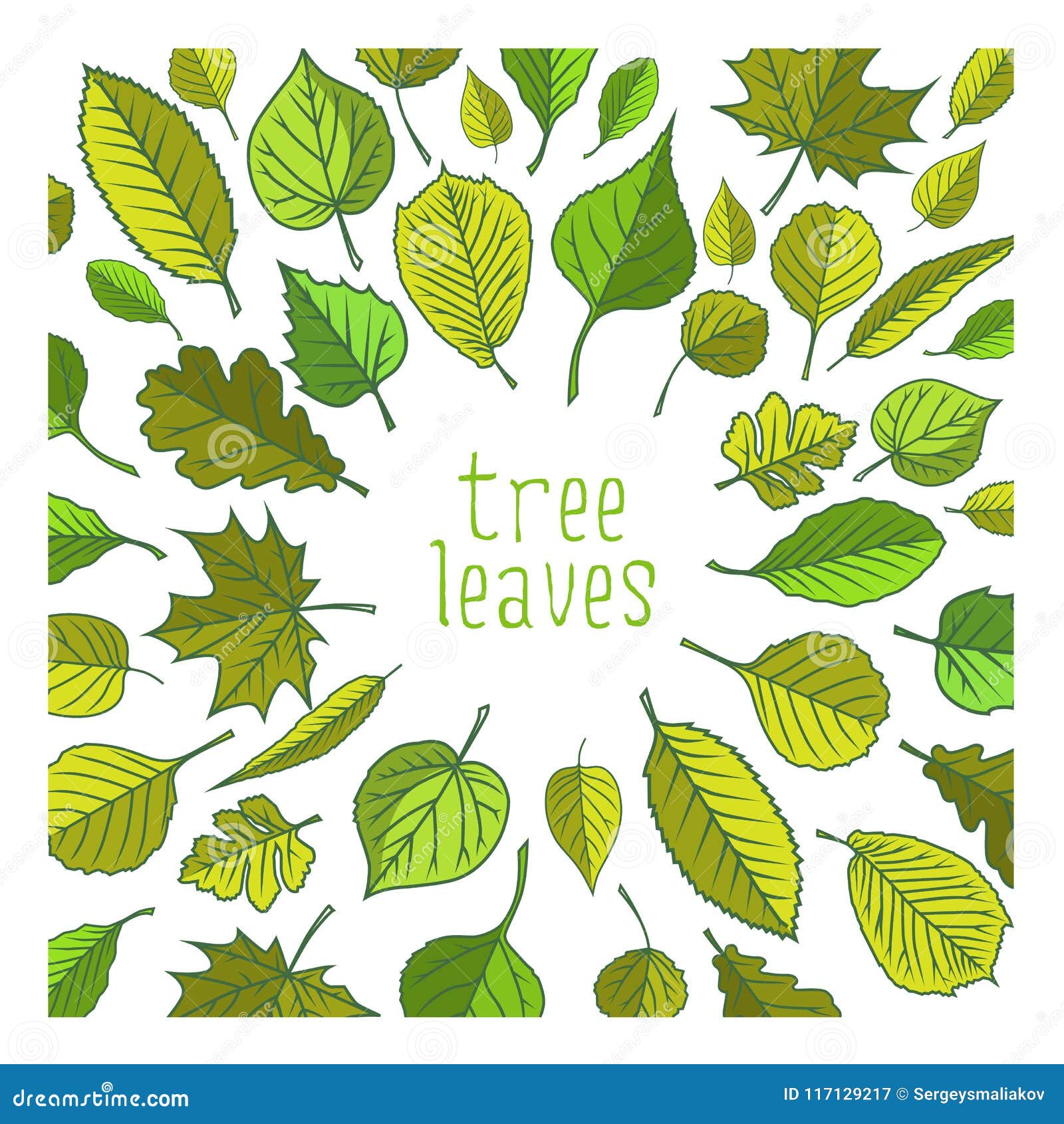 Tree Leaves. Colorful Illustrations Stock Vector - Illustration of ...