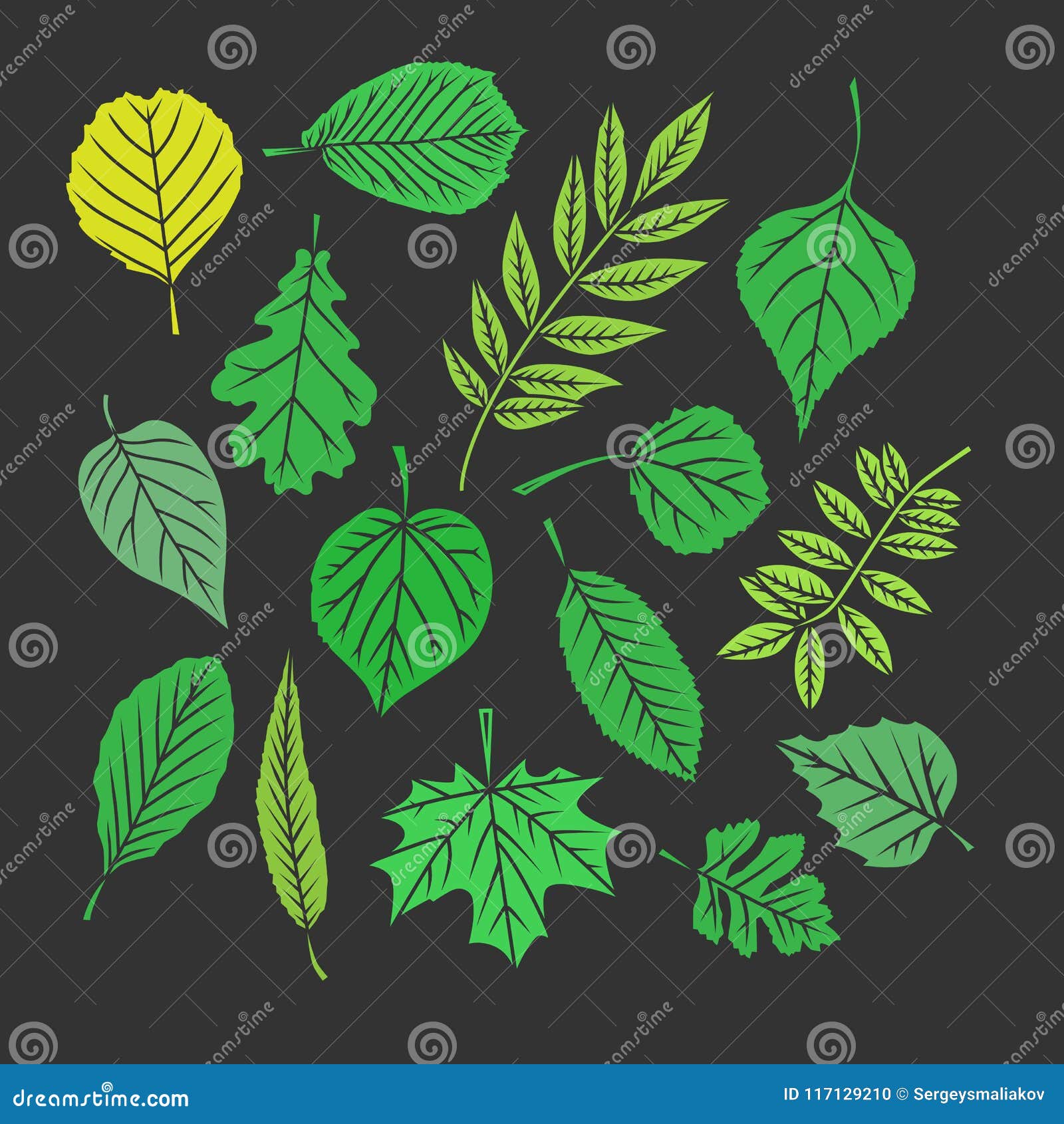 Tree Leaves. Colorful Illustrations Stock Vector - Illustration of ...