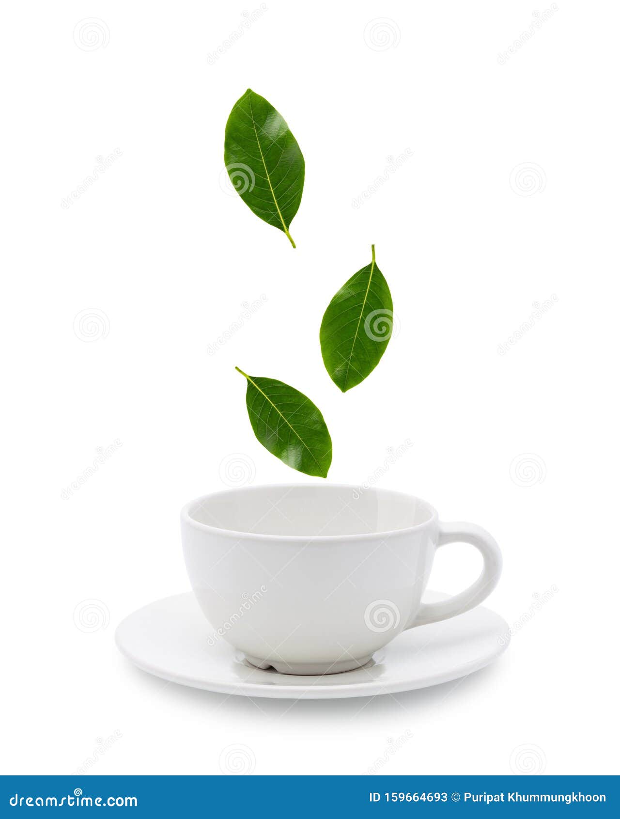 Tree Leaves Falling into Tea Cup on White Background Stock Image ...