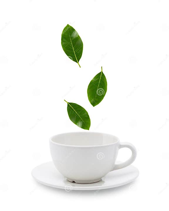 Tree Leaves Falling into Tea Cup on White Background Stock Image ...