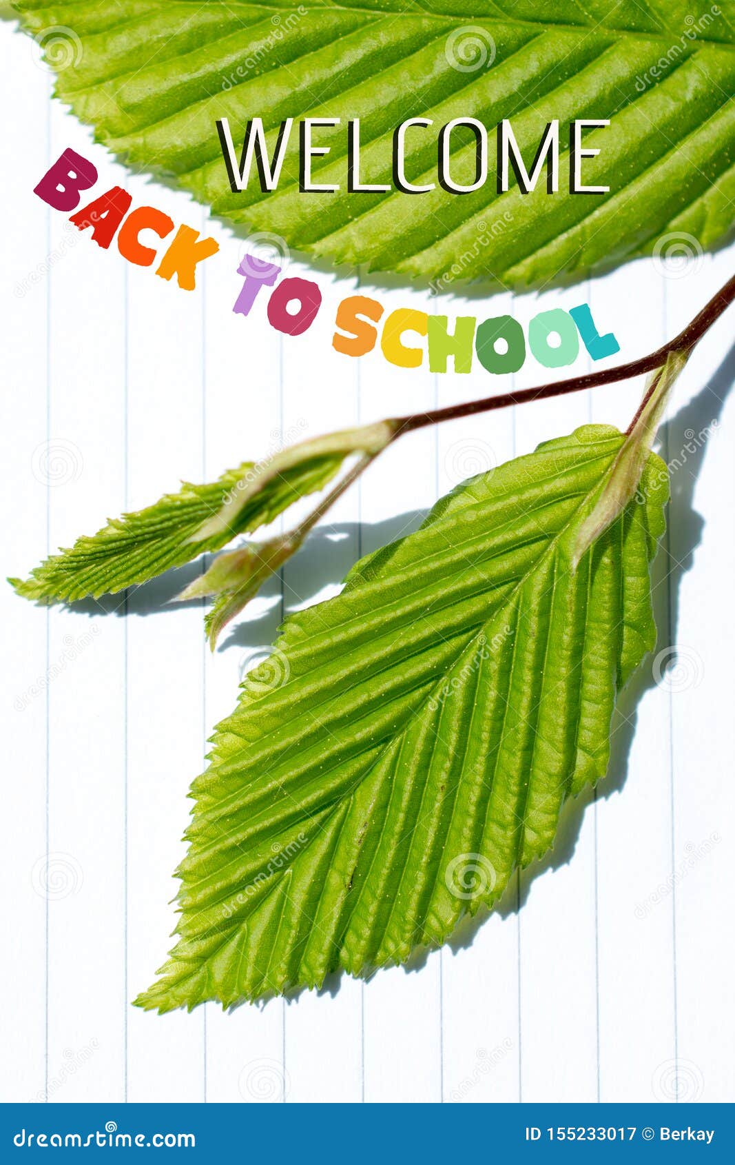 Tree Leaves Over a Notebook Page Stock Image - Image of natural, leaves ...