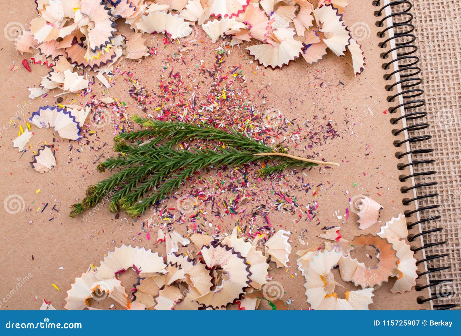 Tree Leaves Over a Notebook Page Stock Image - Image of ecology, fall ...