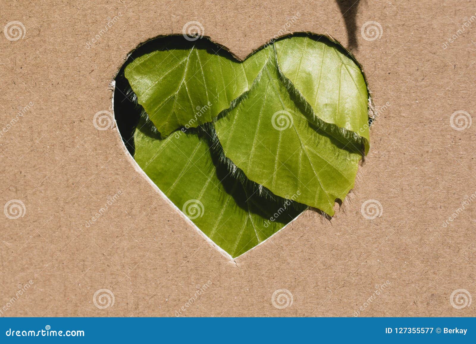 Tree Leaves Over a Notebook Page Stock Image - Image of ecology ...