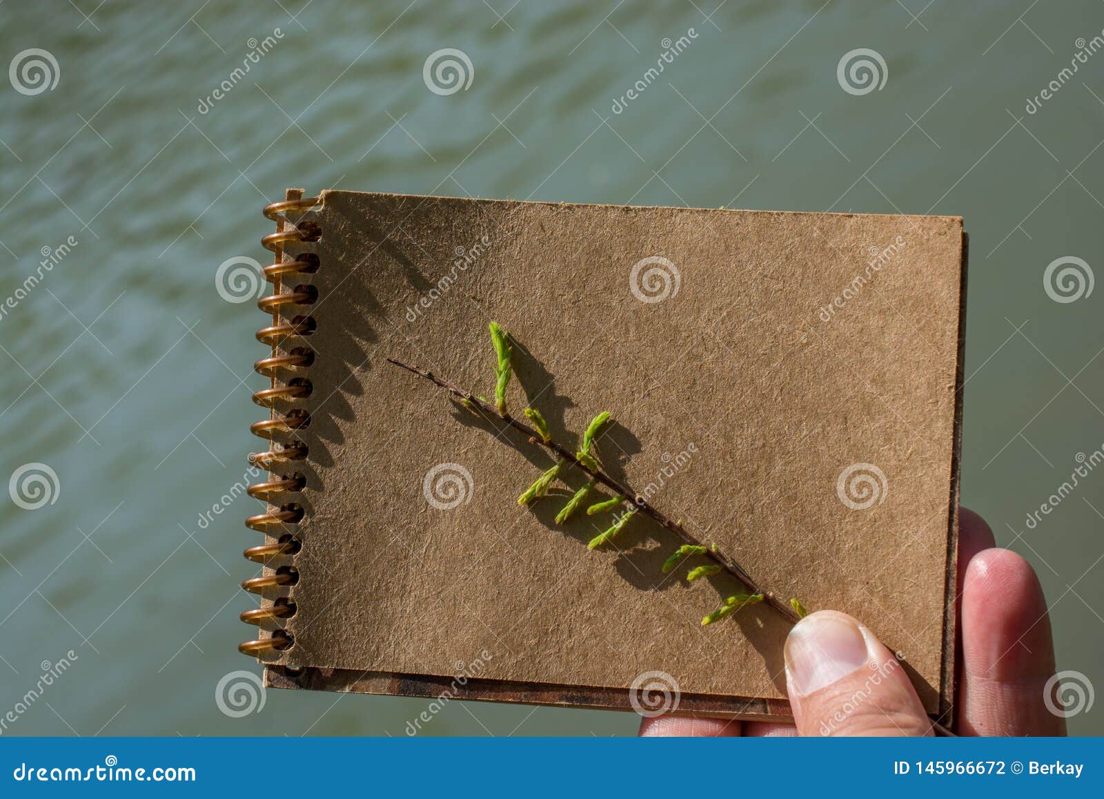 Tree Leaves Over a Notebook Page Stock Photo - Image of brown, botany ...