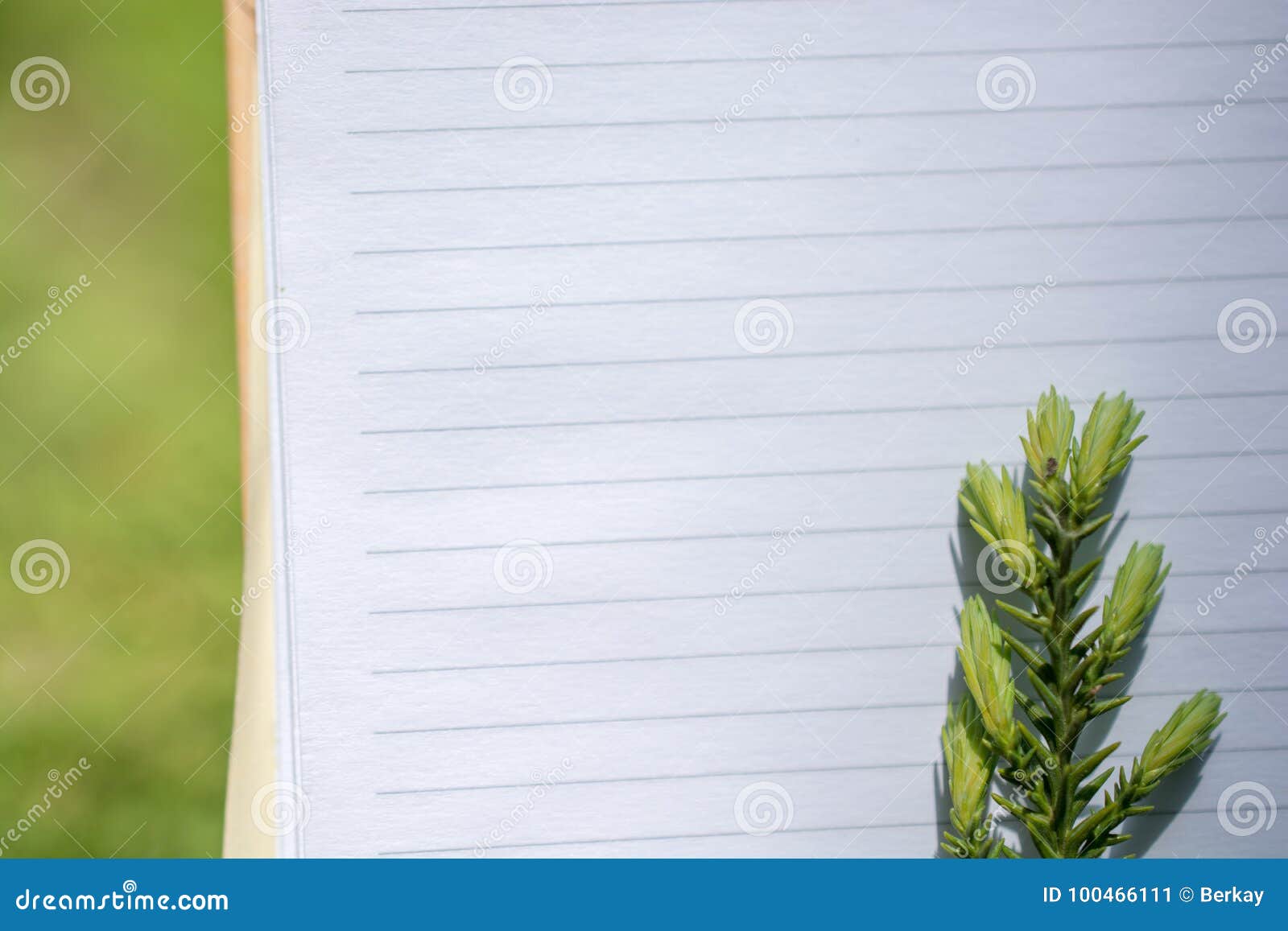 Tree Leaves Over a Notebook Page Stock Image - Image of floral, flora ...