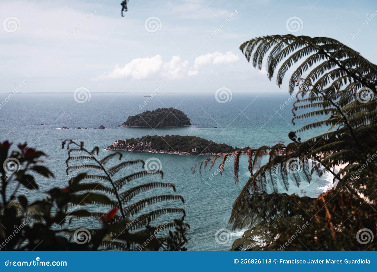 Tree Leaves Overlooking the Sea Stock Photo - Image of cloud, island ...