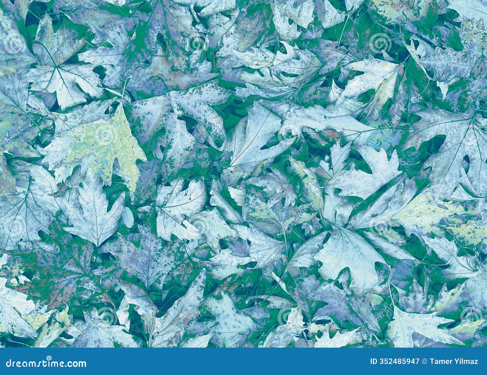 Tree Leaves Pattern Textured Photo Backdrop, Background Stock Image ...