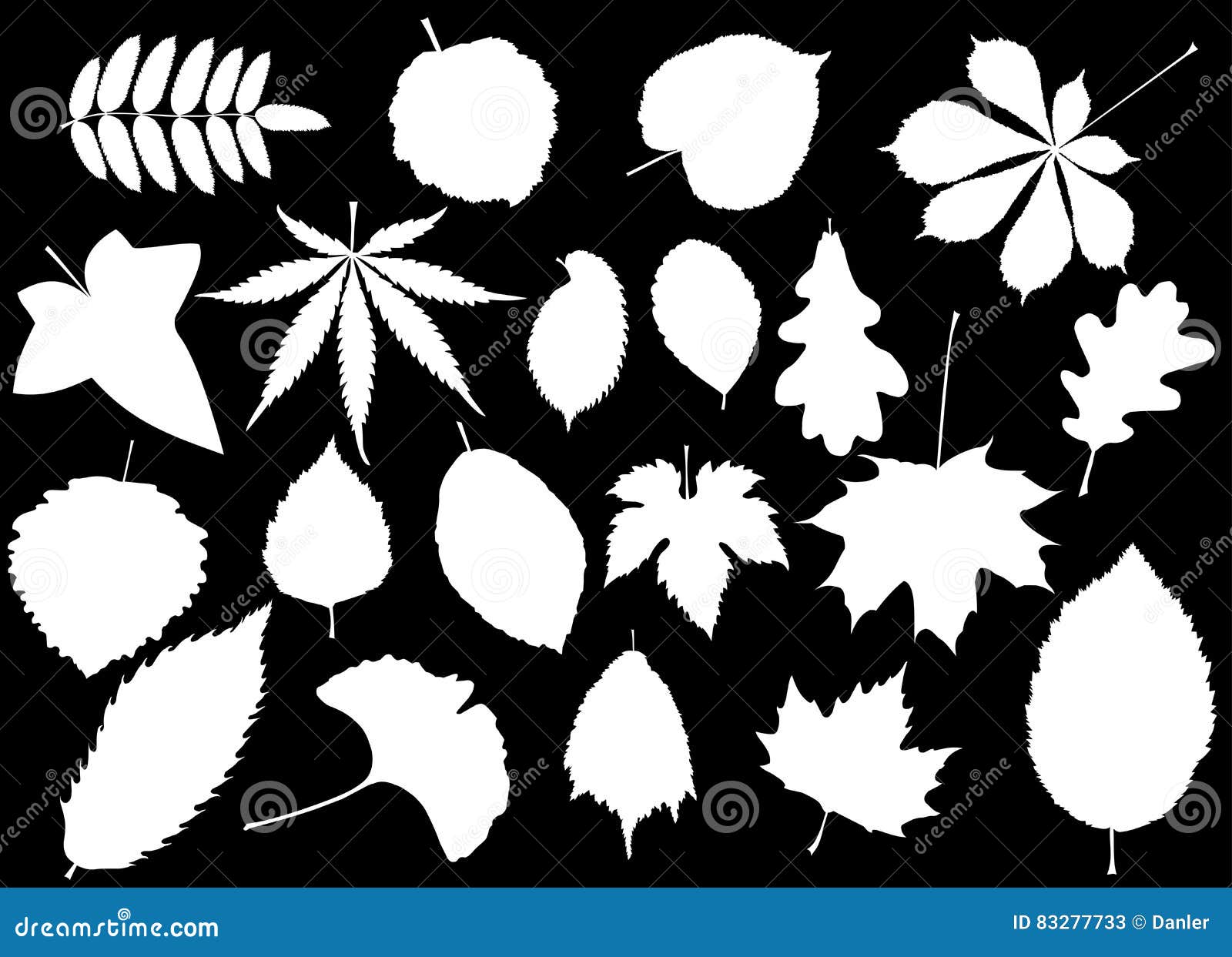 Tree leaves set, stock vector. Illustration of poplar - 83277733