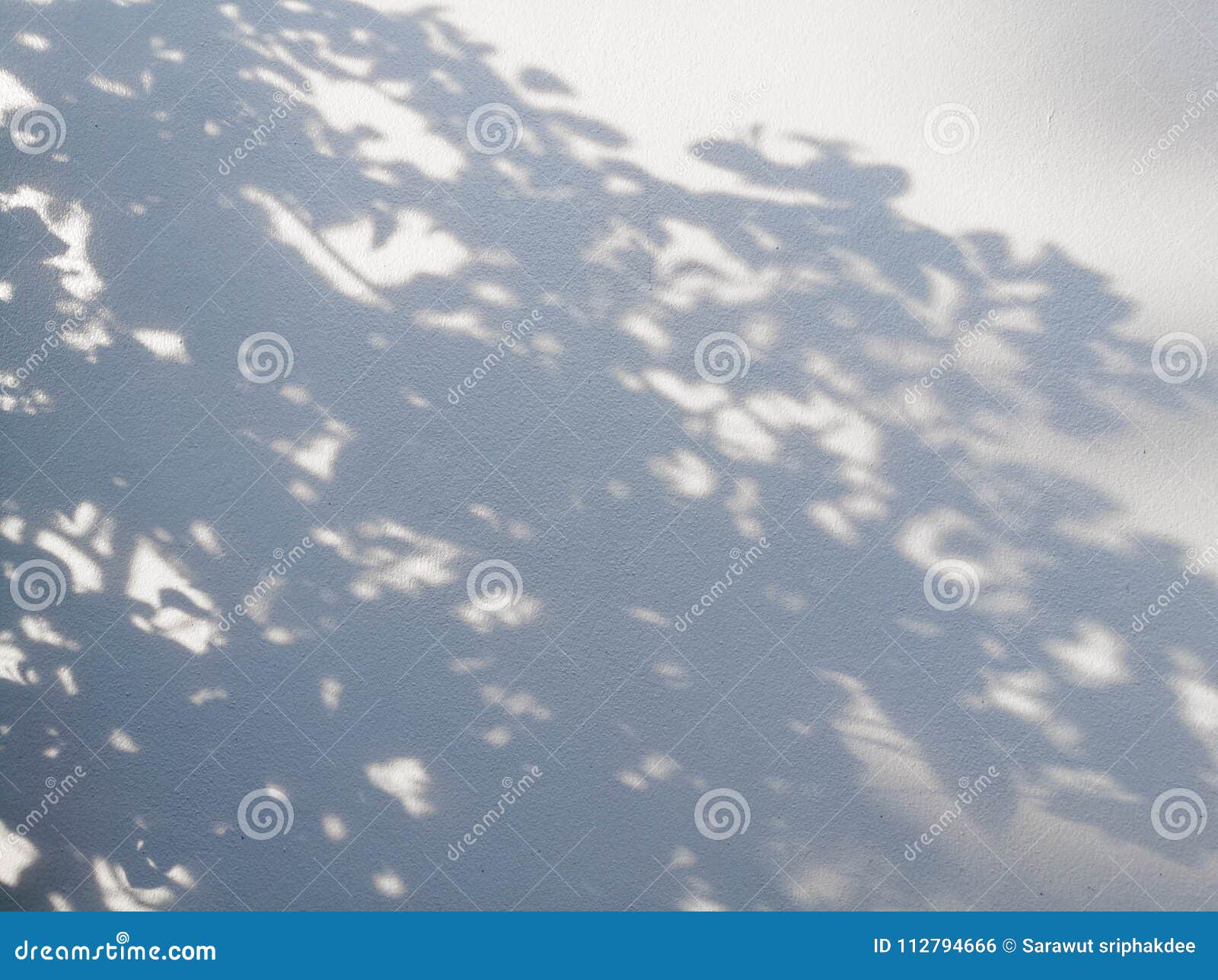 Tree Leaves Shadow on Wall Background, Abstract Background Cement Wall ... Tree Leaves Shadow on Wall Background, Abstract Background Cement Wall ...