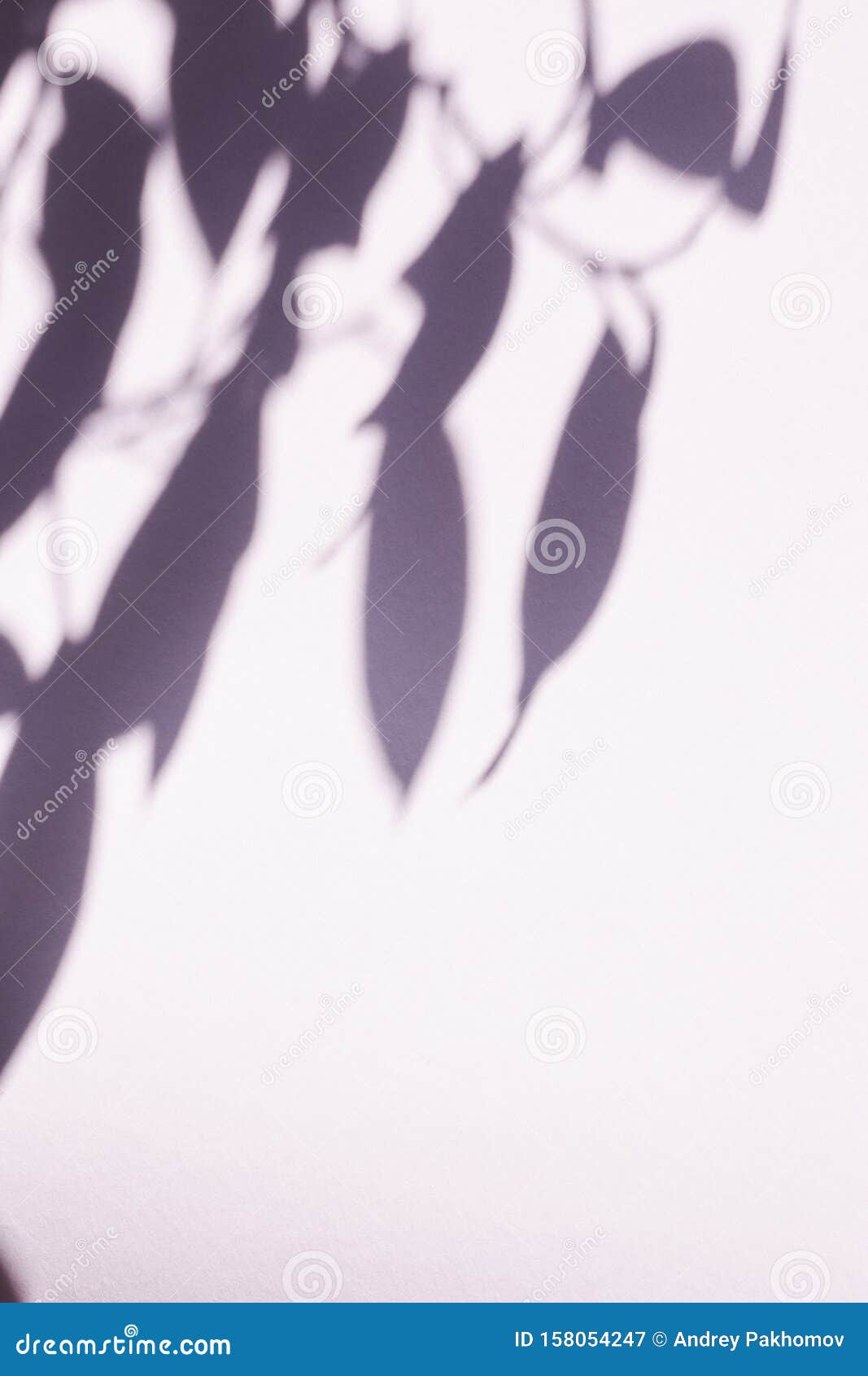 Tree Leaves Shadow on Wall Background, Abstract Background Cement Wall ...