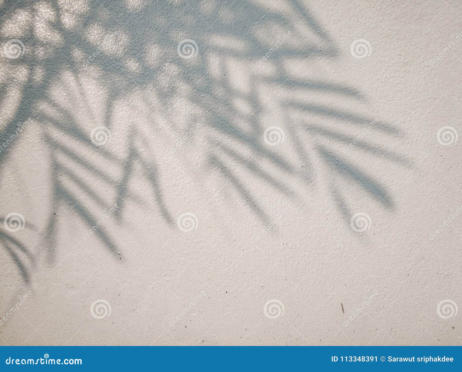 Tree Leaves Shadow on Wall Background, Abstract Background Cement Wall ...