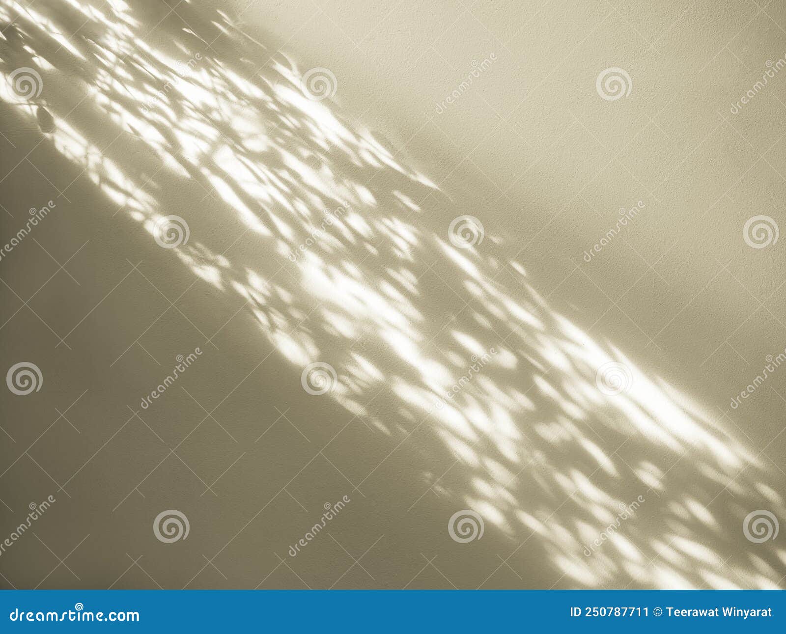 Tree Leaves Shadow on Wall Background Nature Abstract Stock Image ...