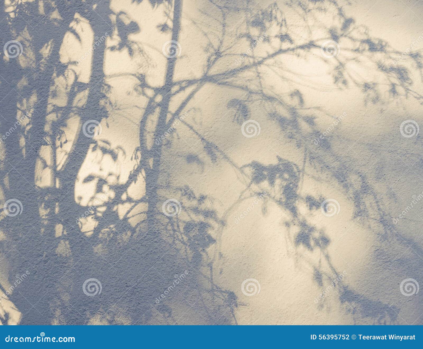 Tree Leaves Shadow on Wall Background Stock Photo - Image of leaves ...